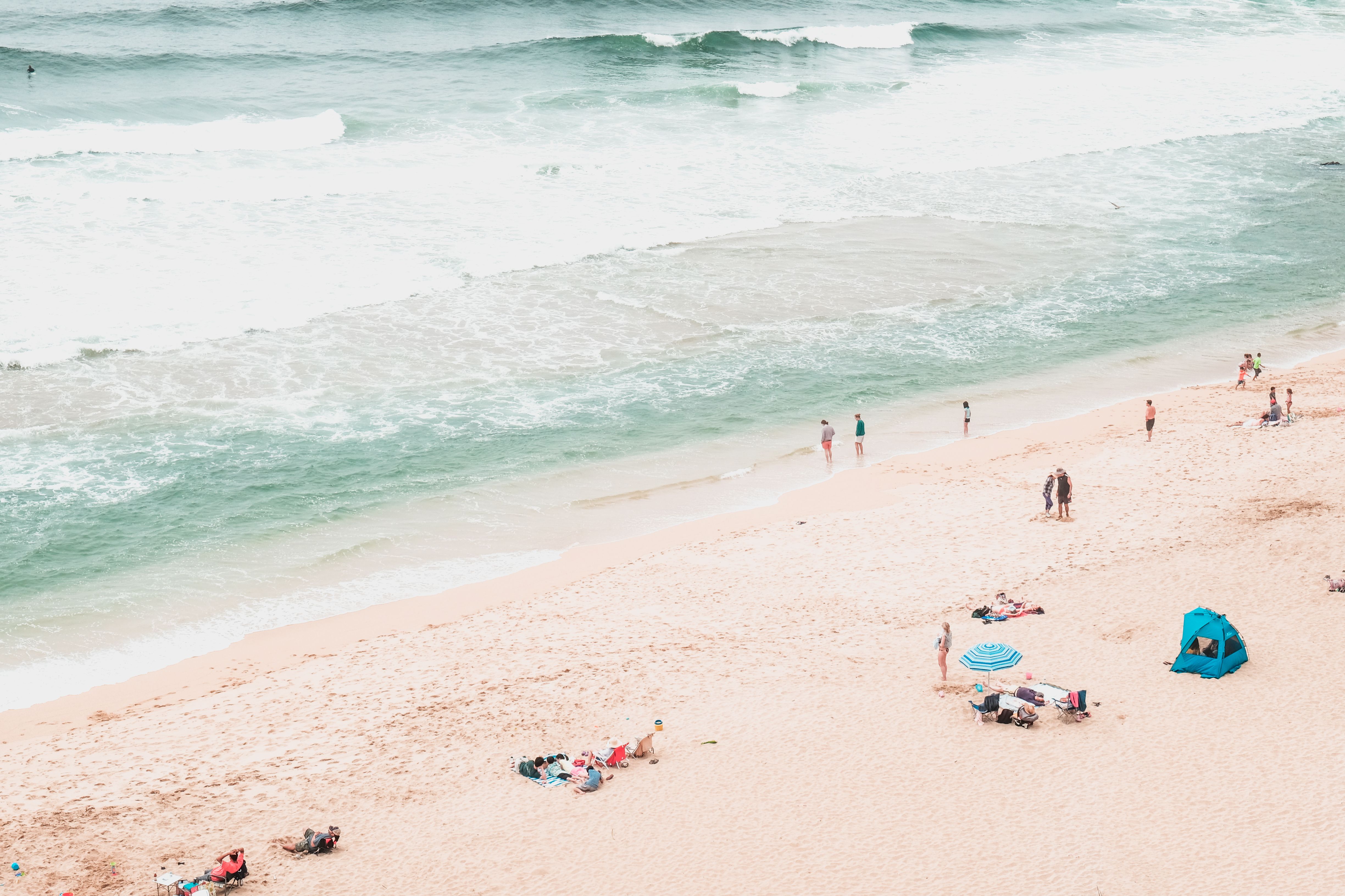 People on Sea Beach · Free Stock Photo