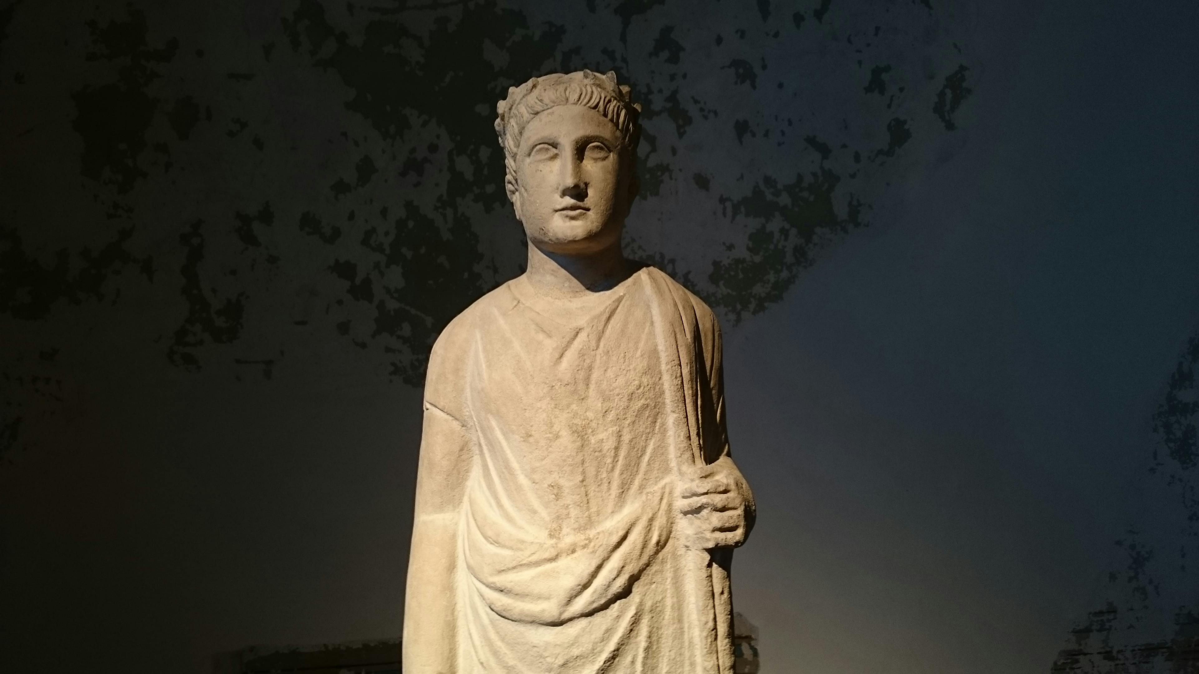 Skull Model · Free Stock Photo