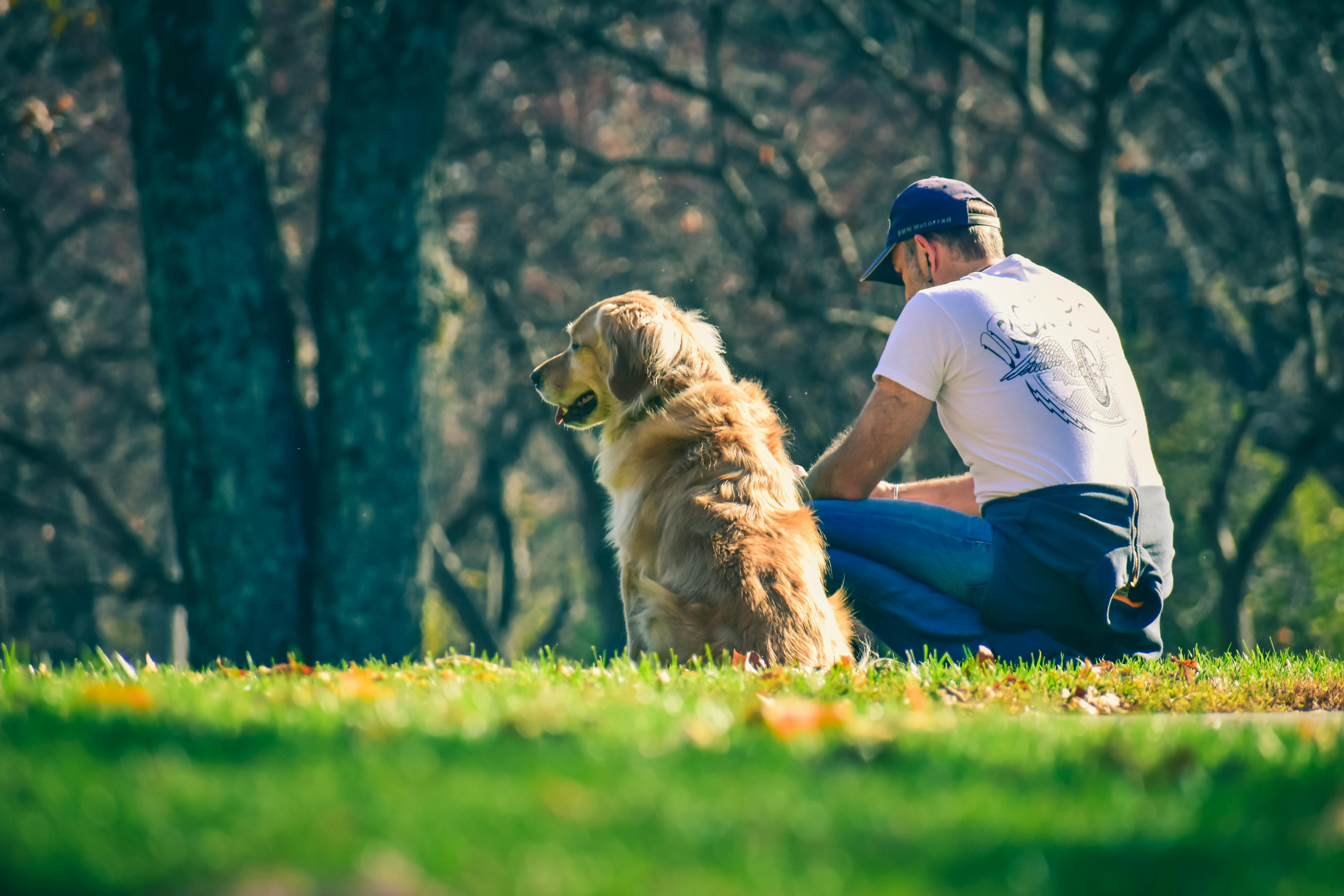 Man on hunkers sitting near purebred dog · Free Stock Photo