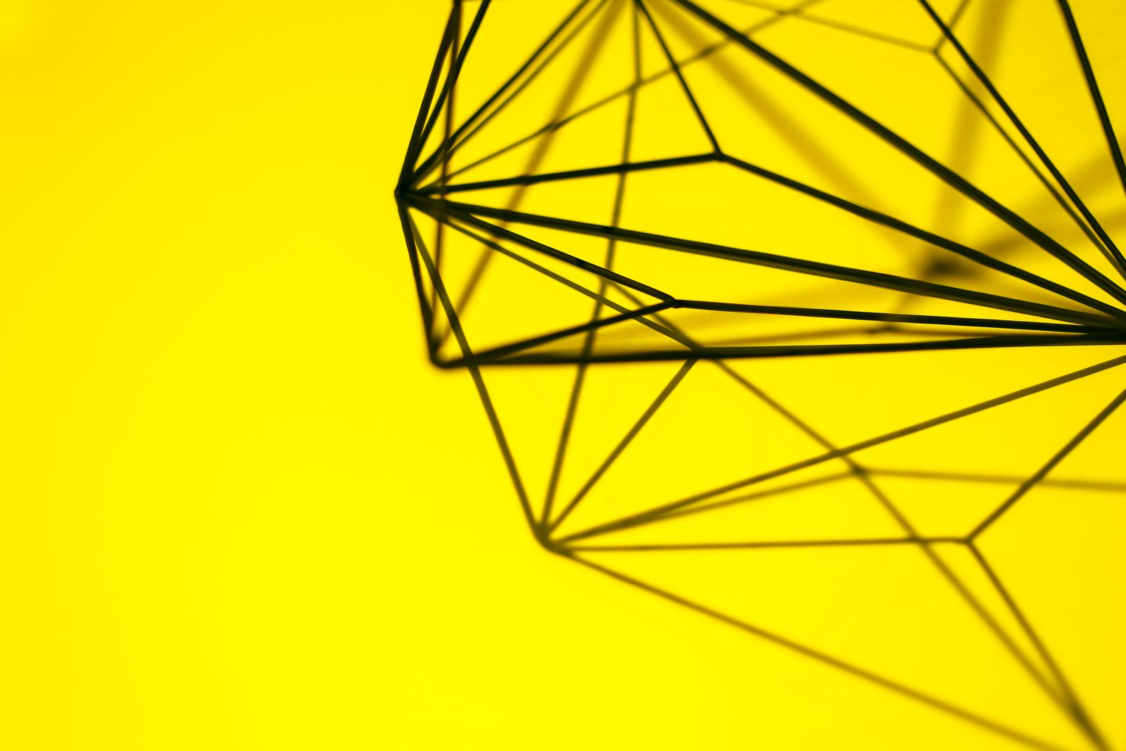 People Yellow Background Photos, Download The BEST Free People Yellow ...