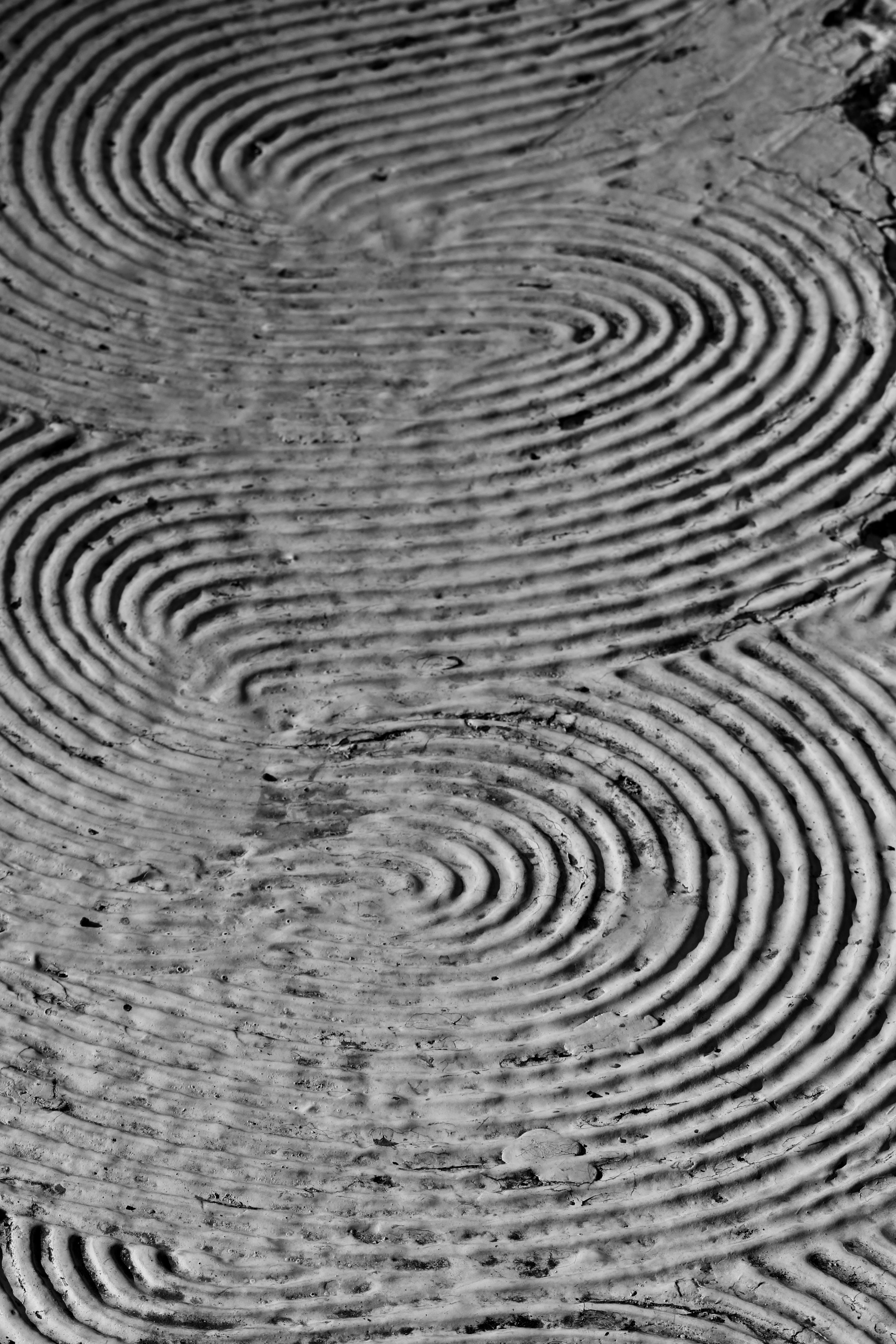 Close-up Photo of Texture Surface · Free Stock Photo