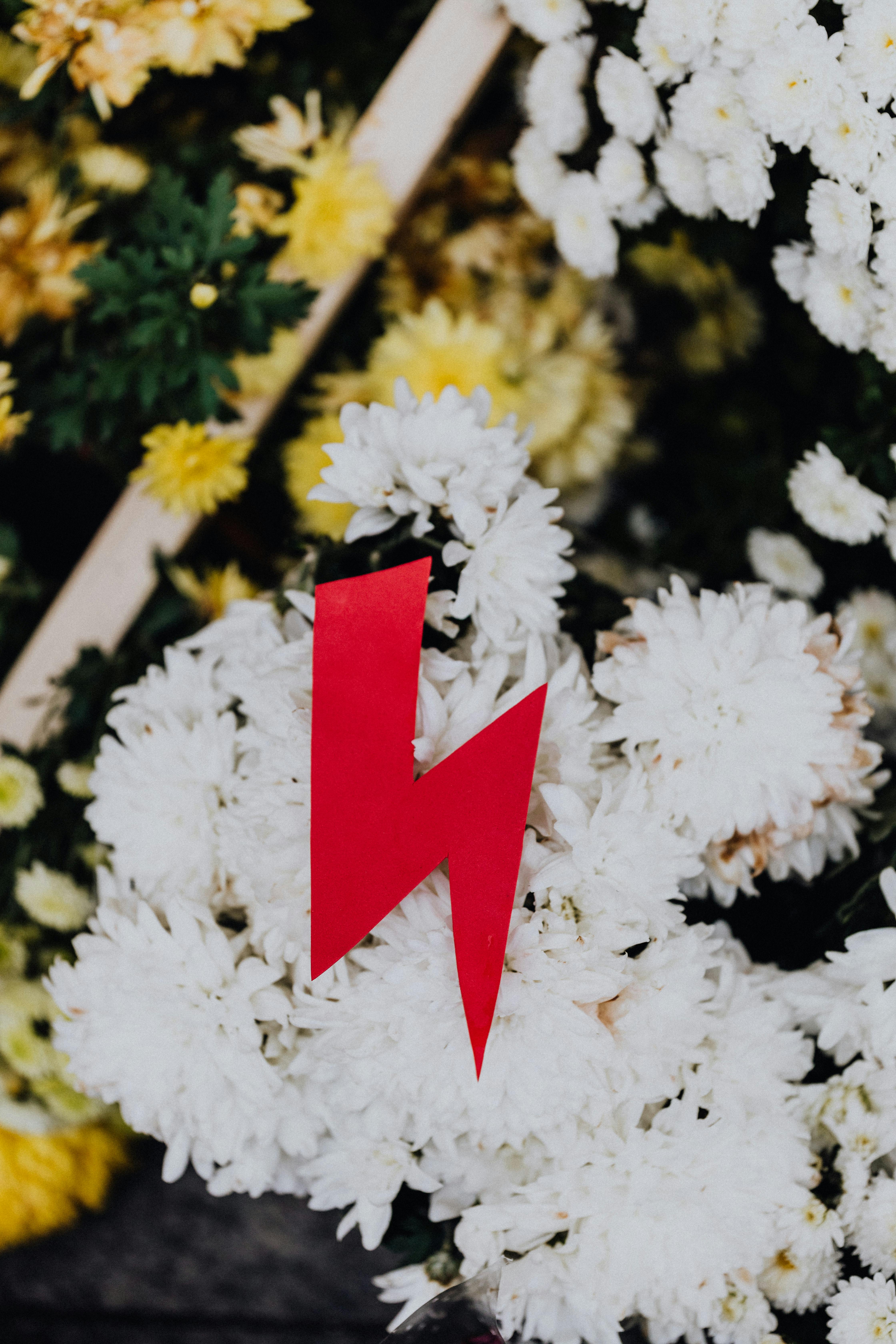 Red Lightning Symbol on Flowers · Free Stock Photo