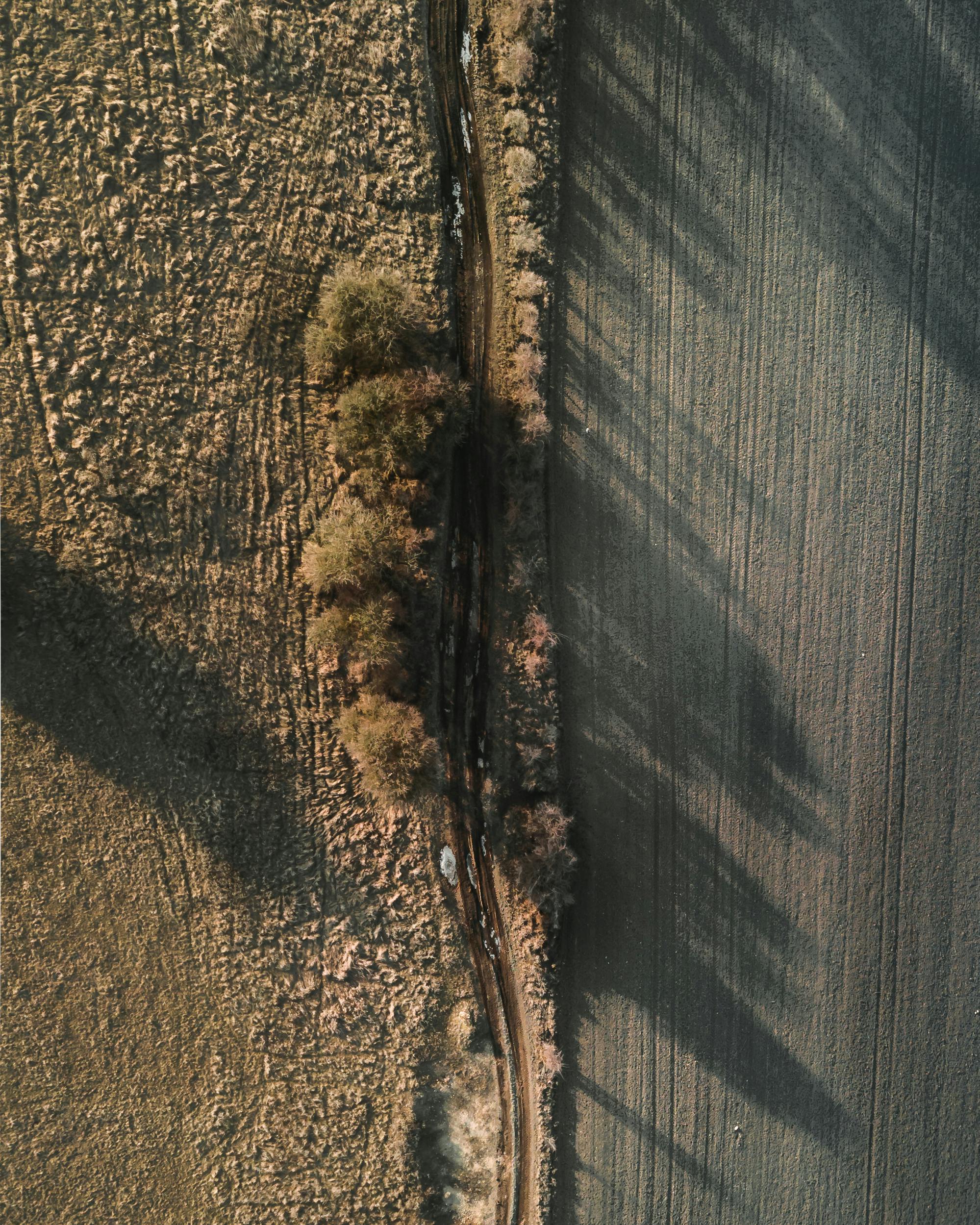 Dirt Path Texture Photos, Download The BEST Free Dirt Path Texture ...