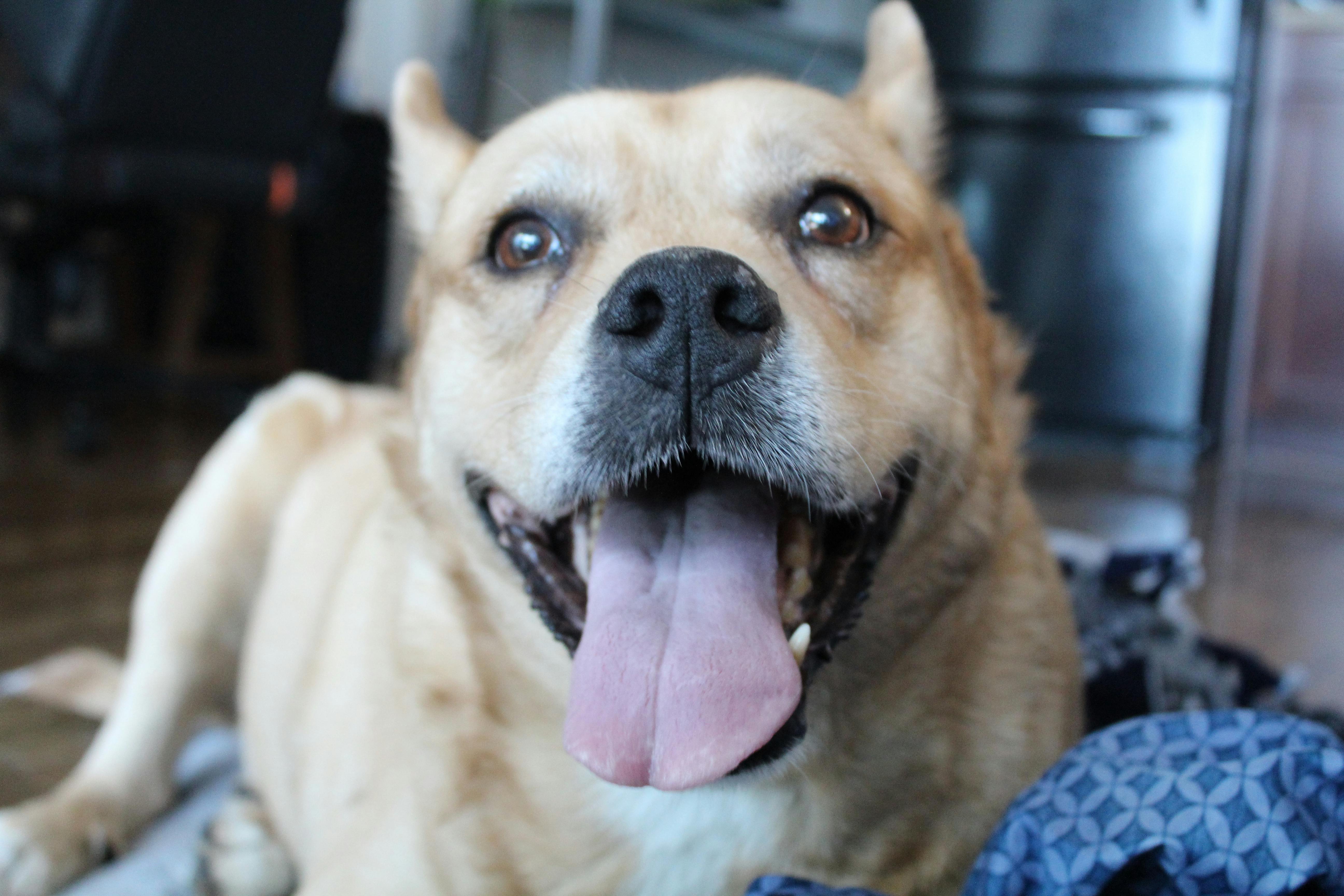 Aaron Thompson – Fotografie