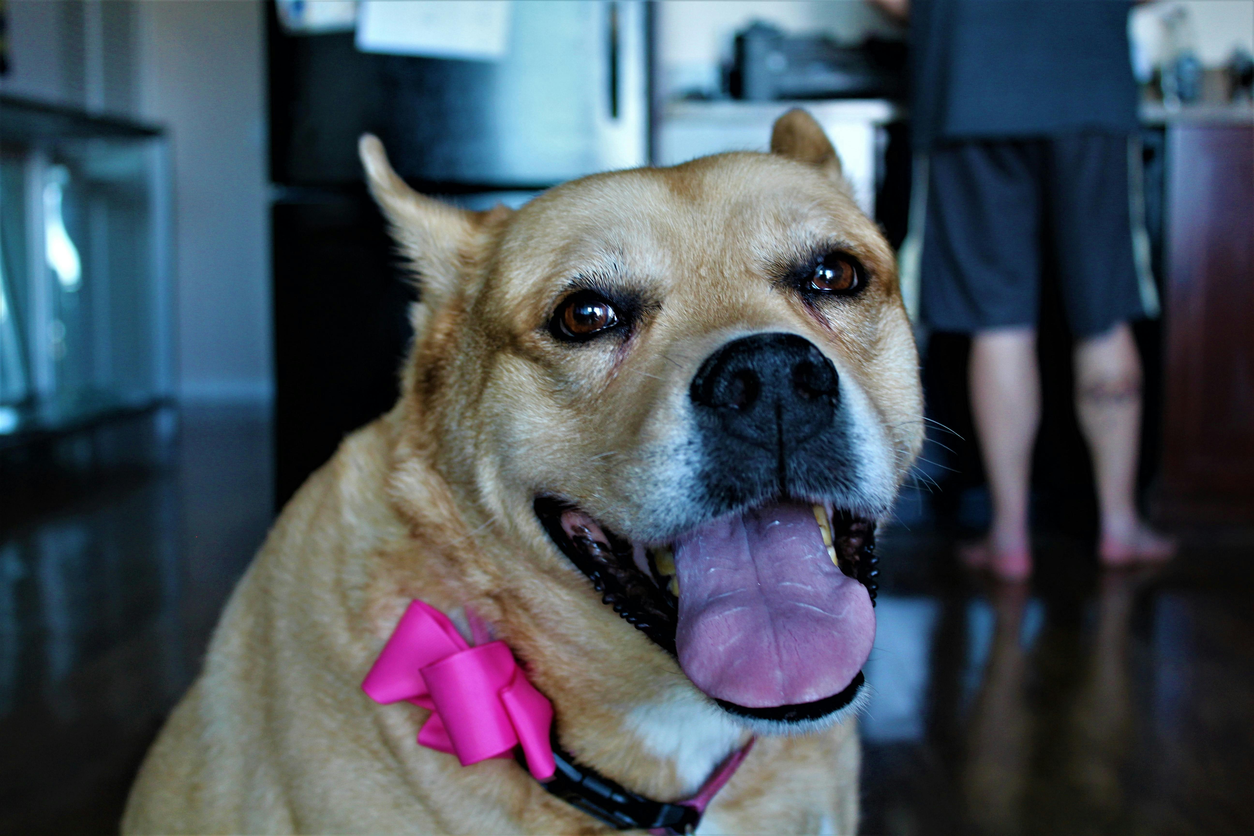 Aaron Thompson – Fotografie