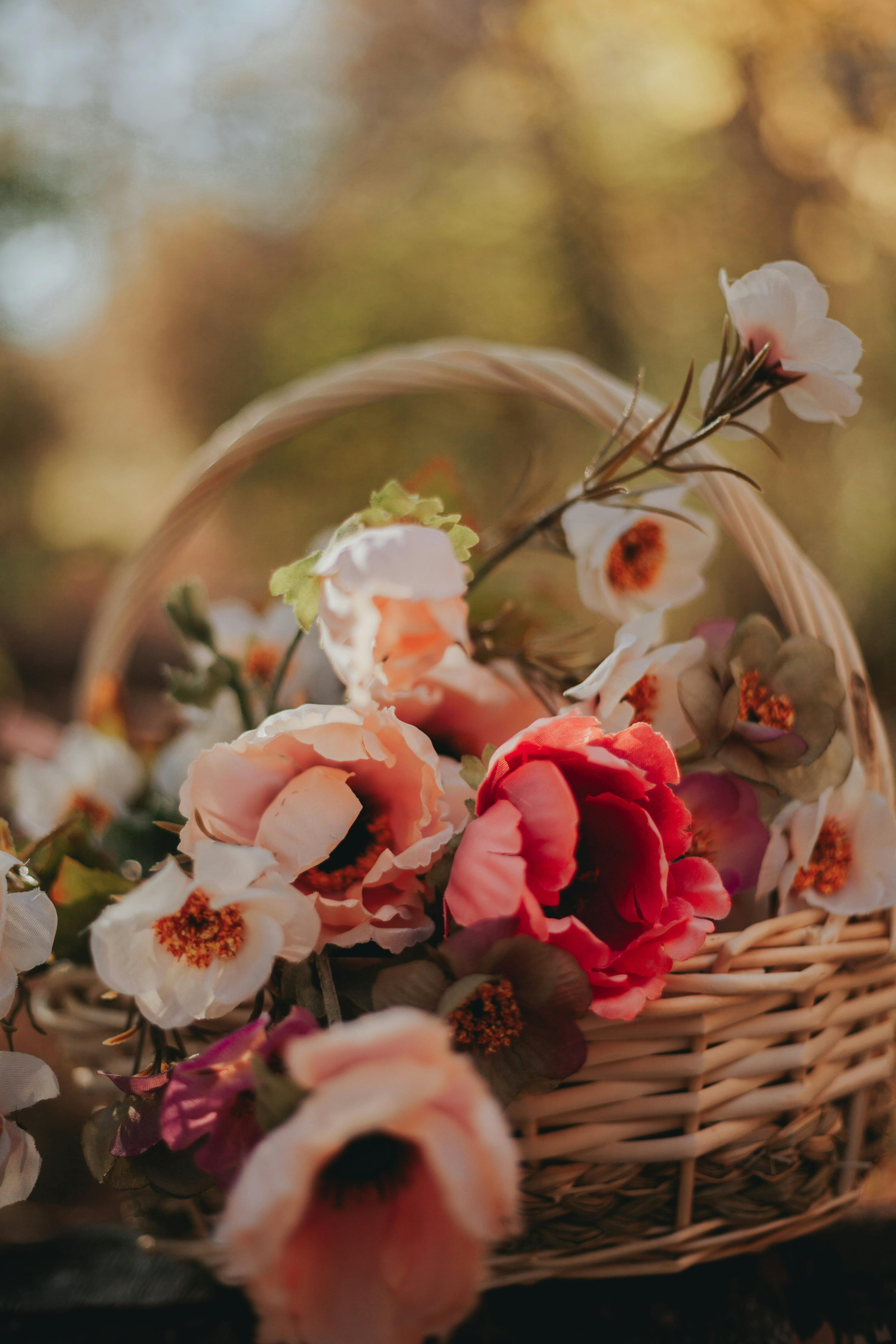 Wicker basket with flowers in garden · Free Stock Photo