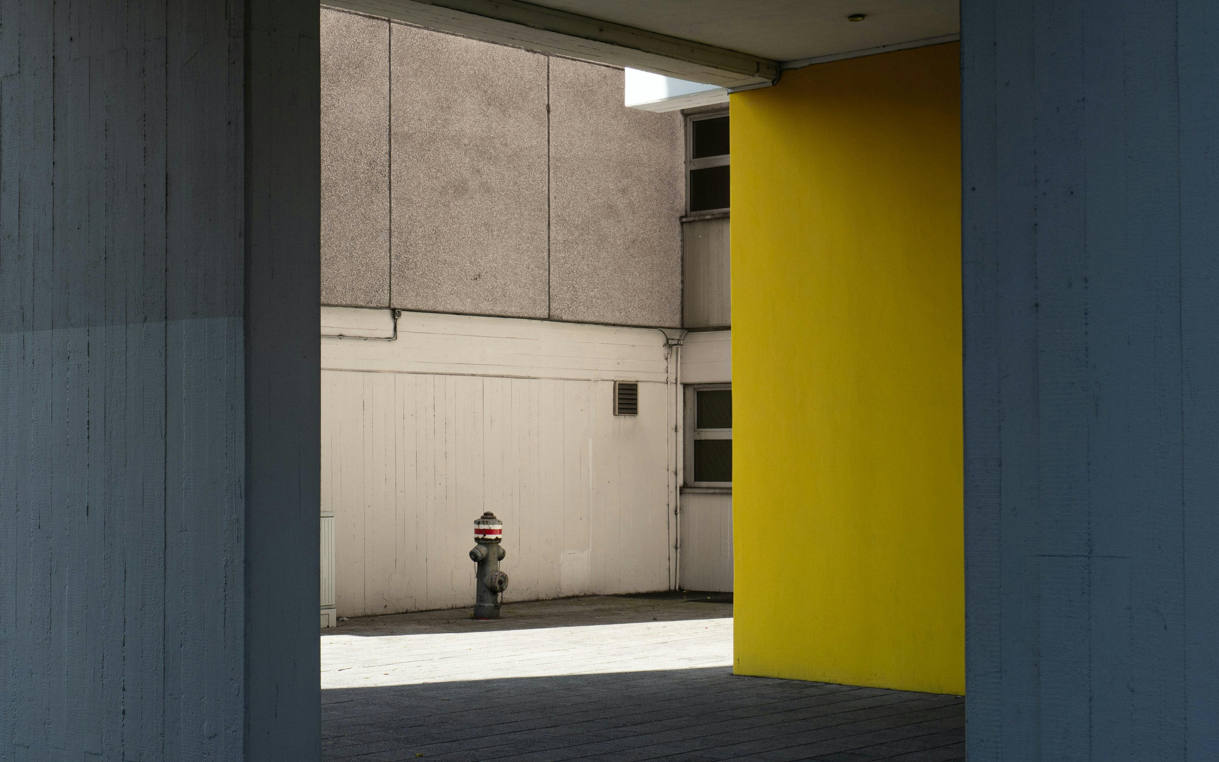 Gray Fire Hydrant on the Street · Free Stock Photo