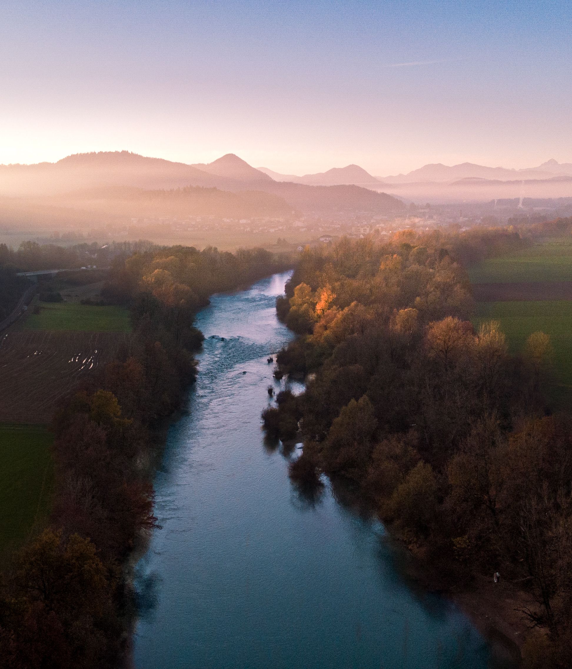 River in Between Trees · Free Stock Photo