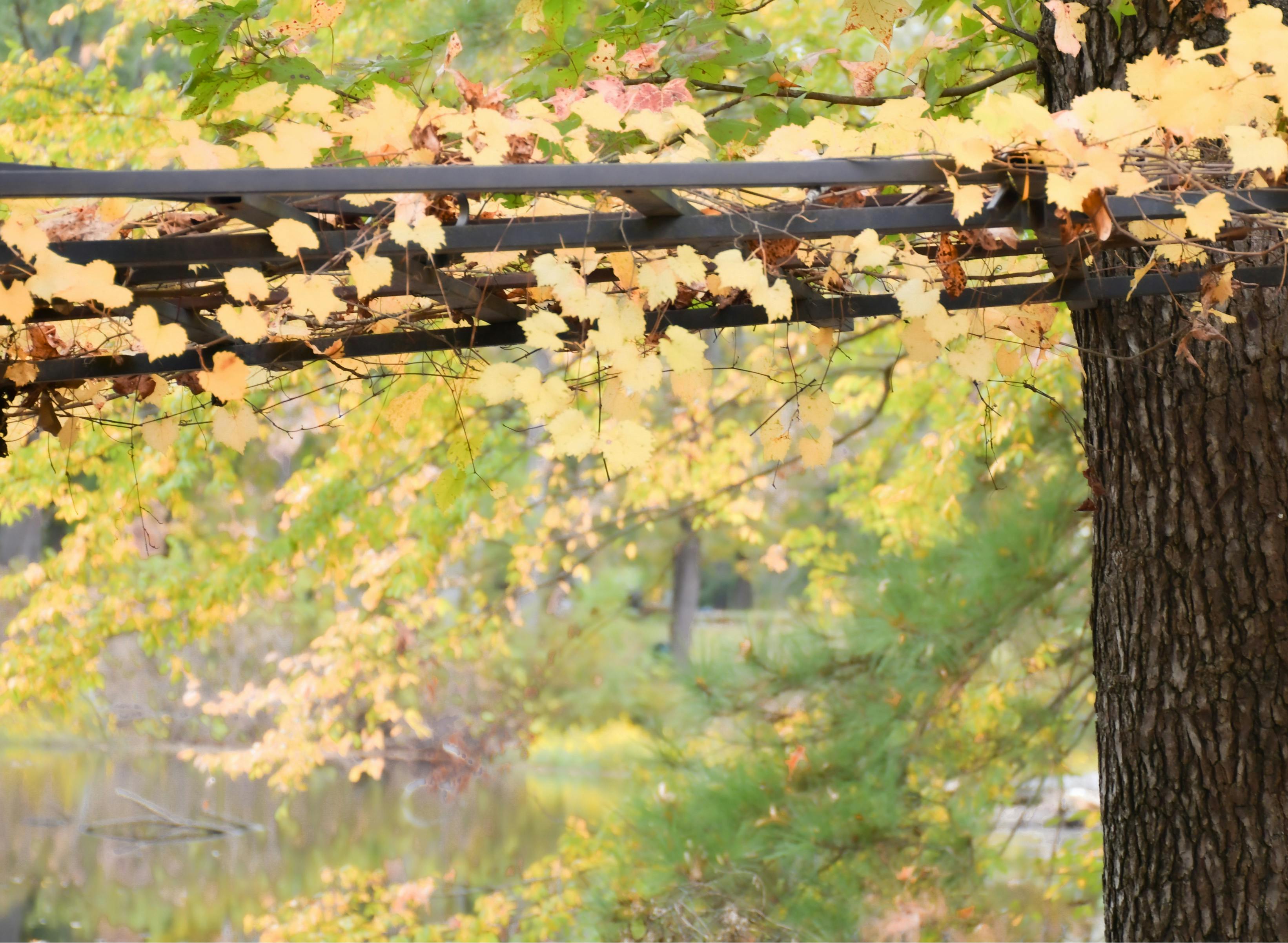 Jessica Castillo - 사진