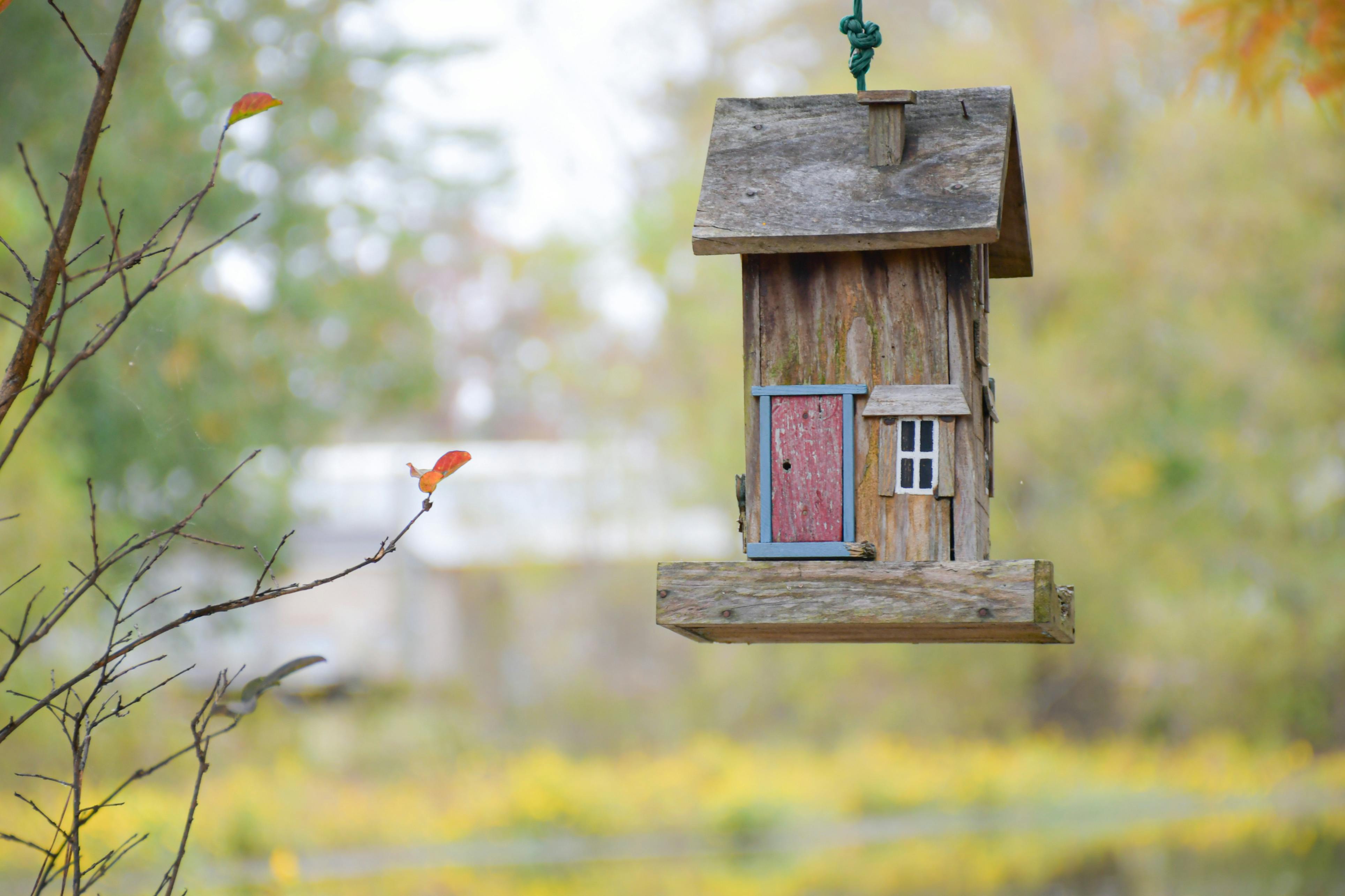 Jessica Castillo - 사진