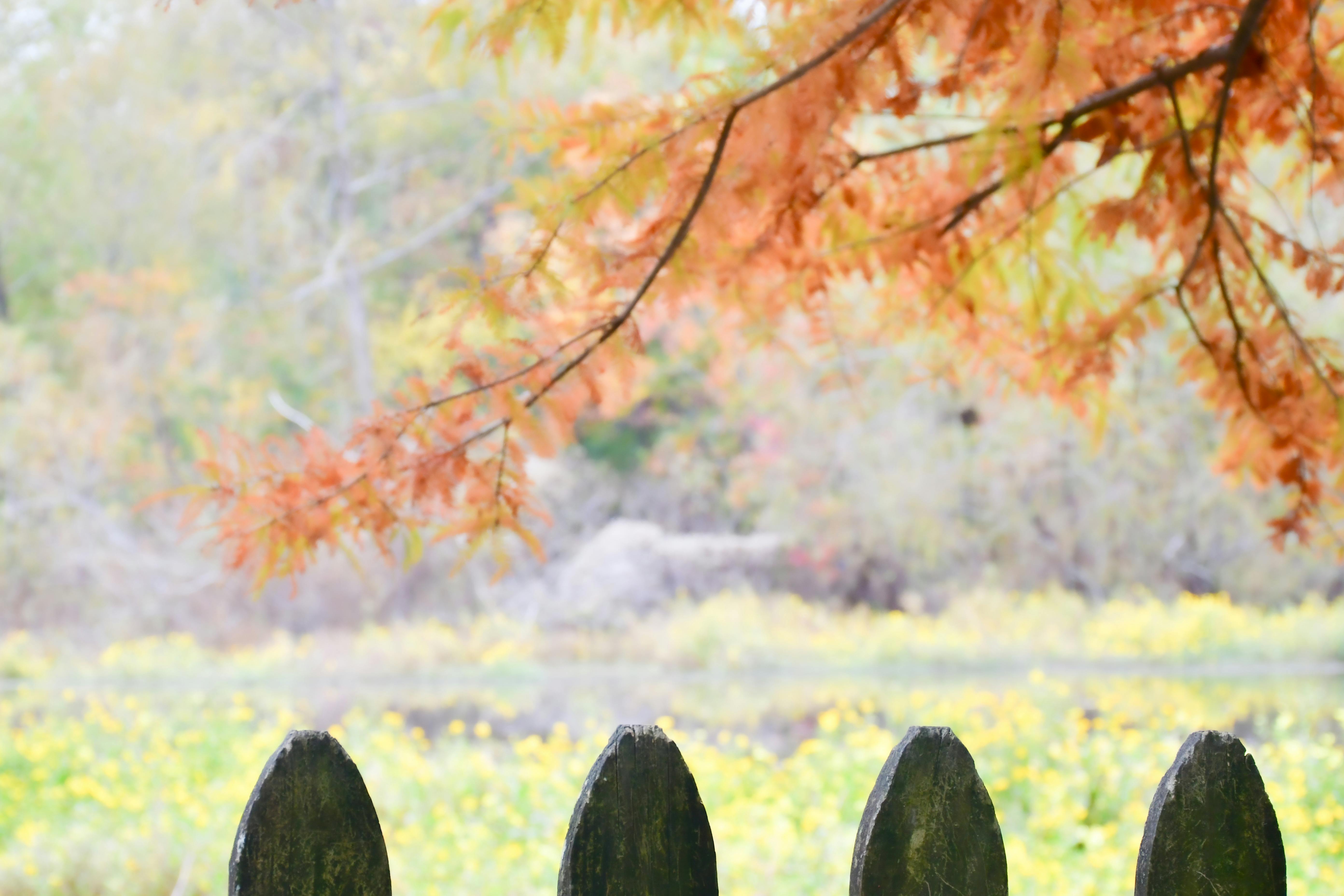 Jessica Castillo - 사진