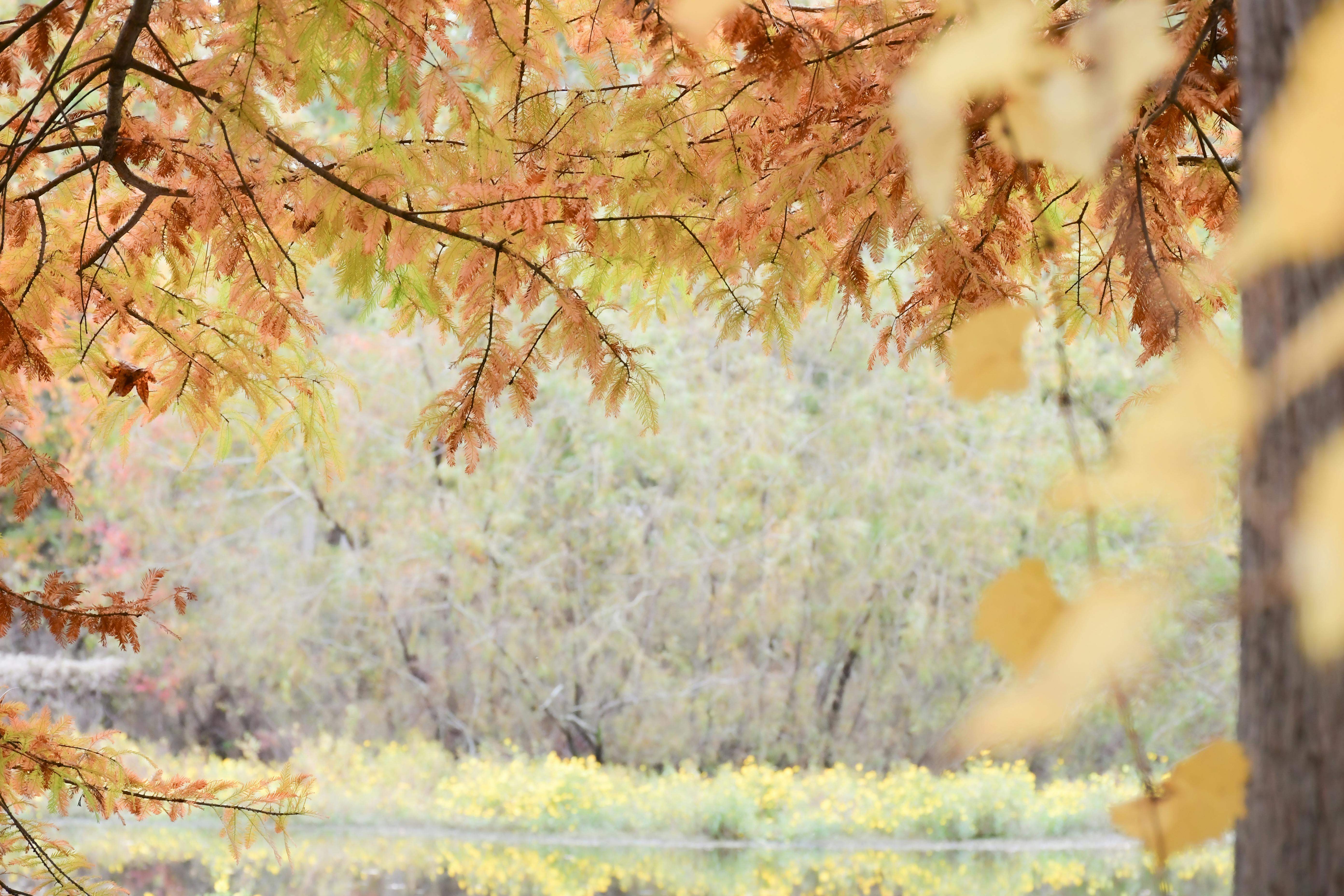 Jessica Castillo - 사진