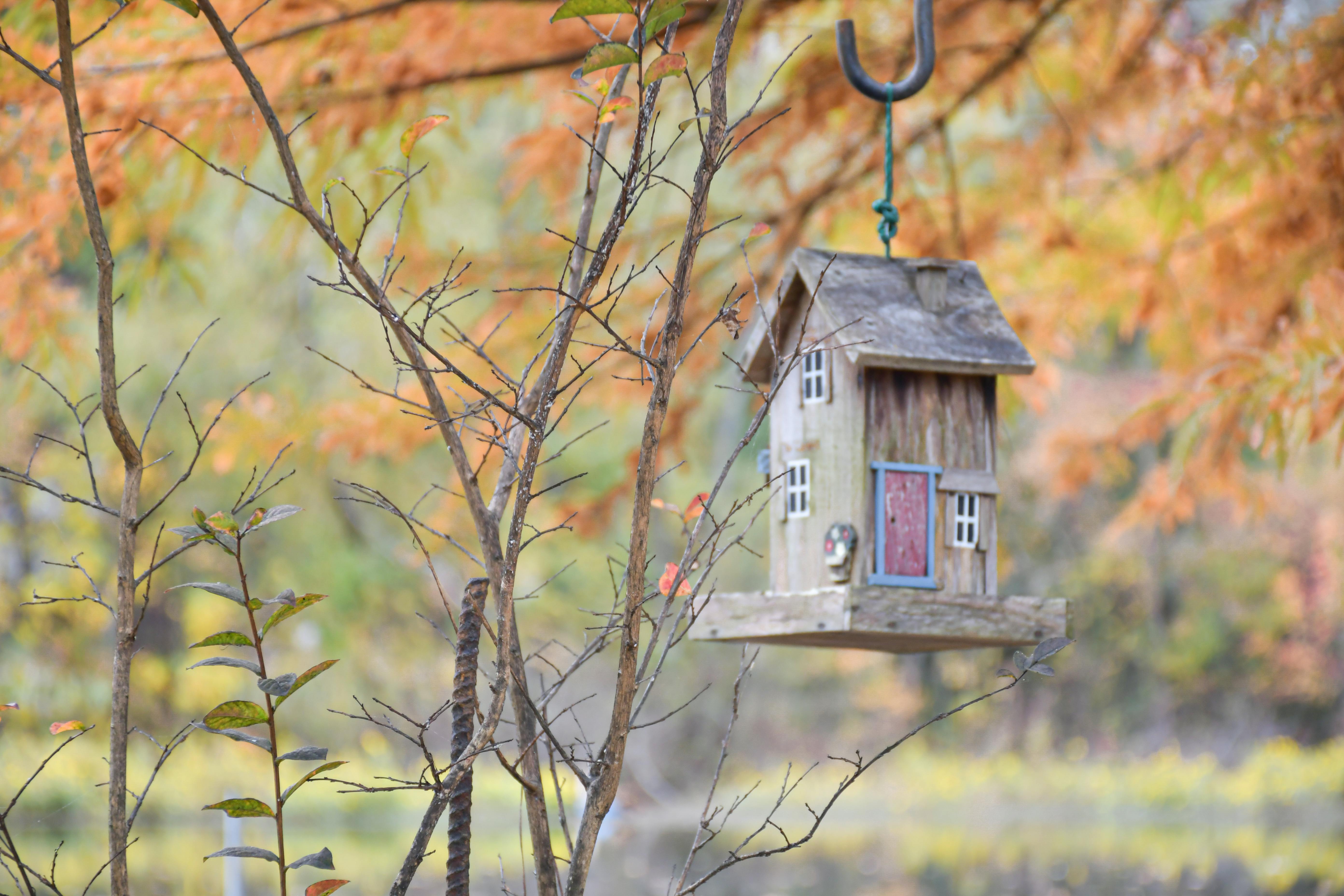 Jessica Castillo - 사진