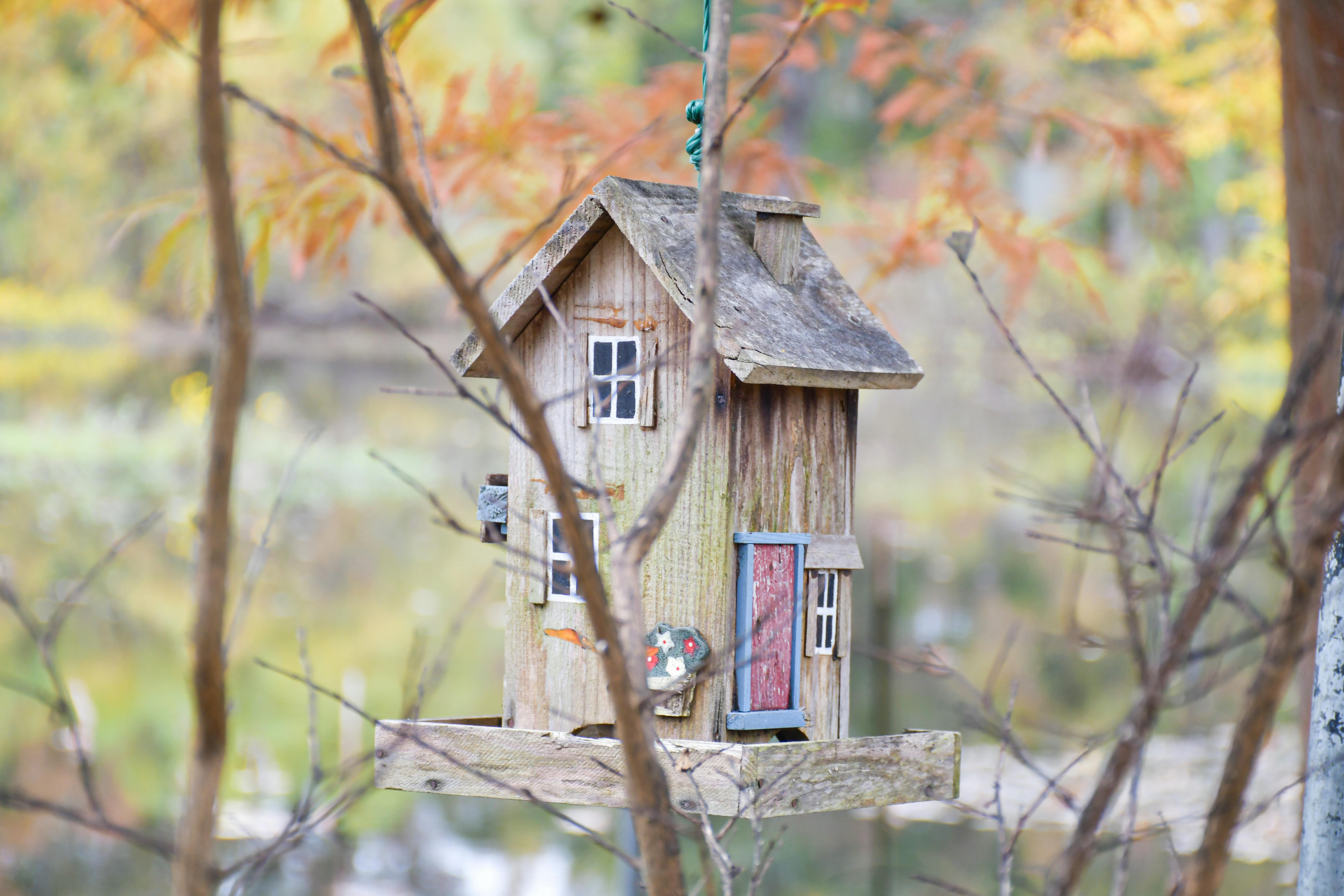 Jessica Castillo - 사진