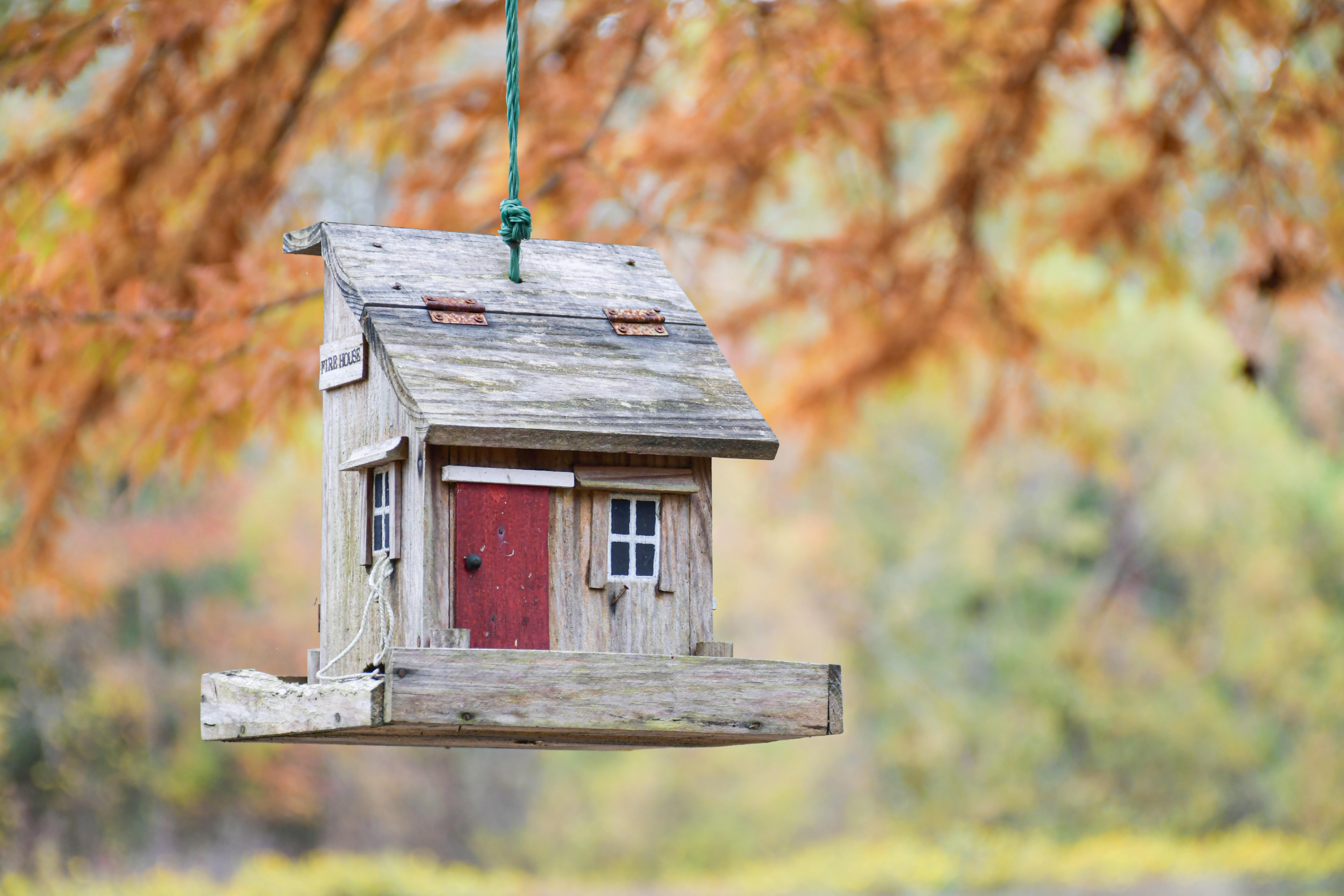 Jessica Castillo - 사진