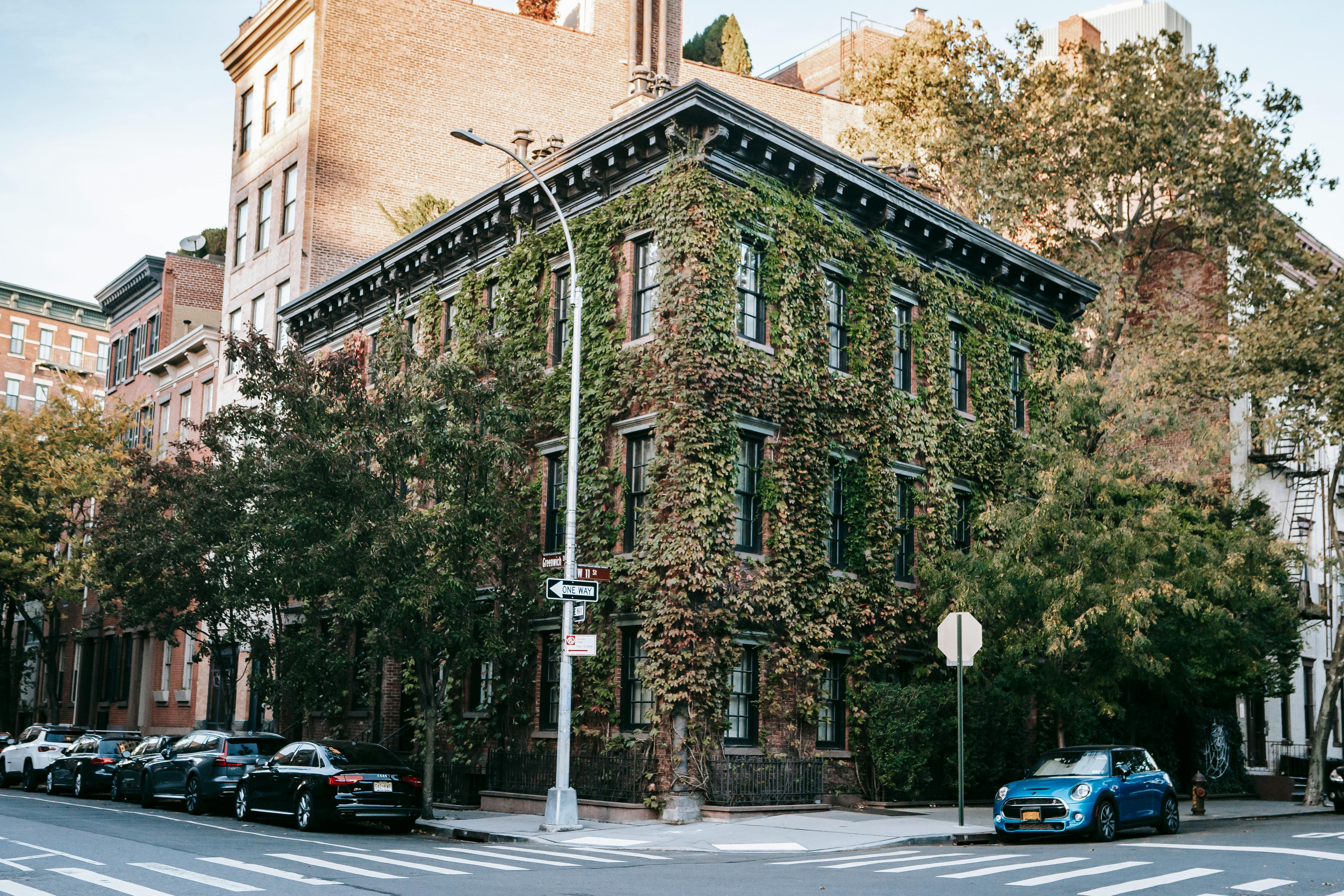 Exterior of old building covered with green plants · Free Stock Photo
