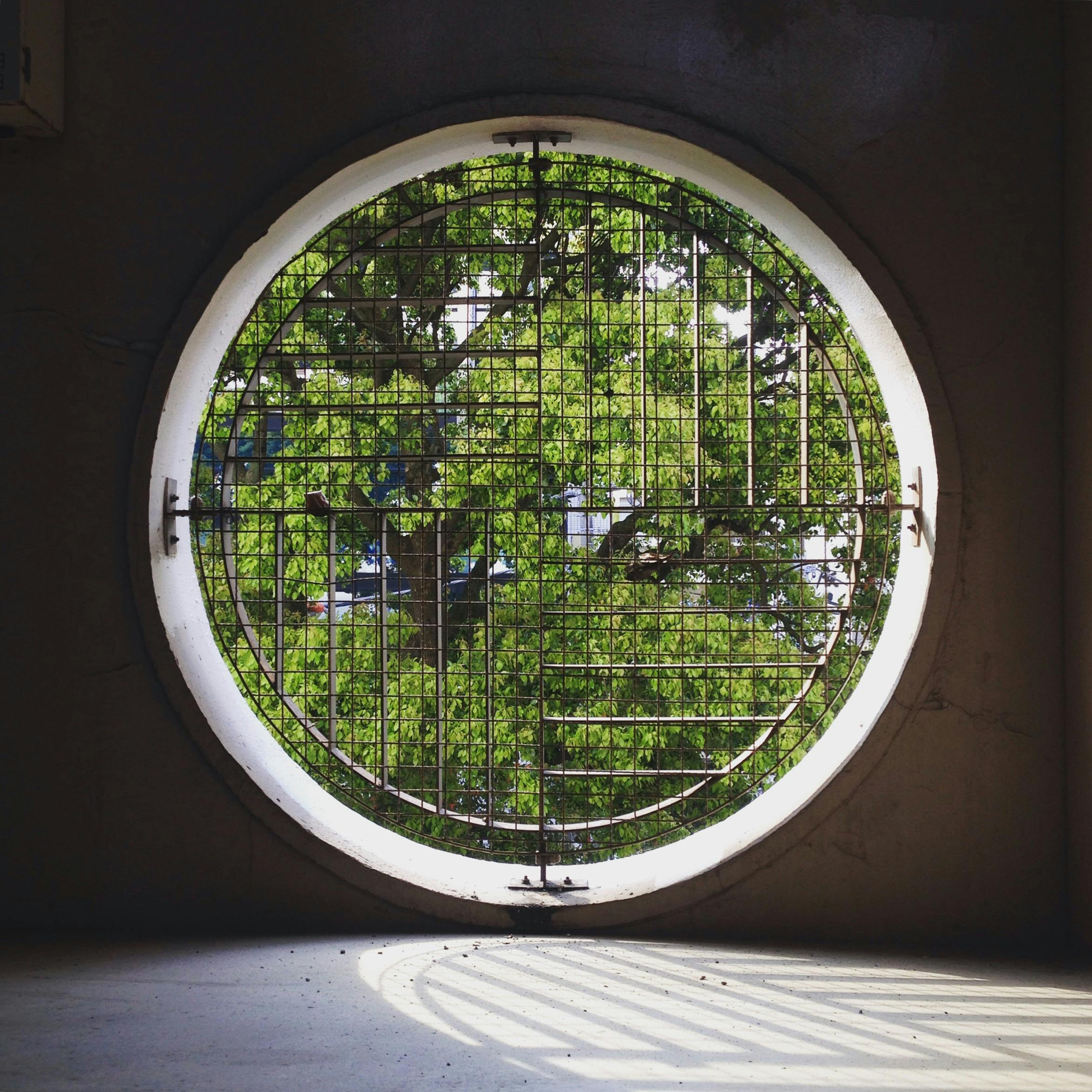 Window Bars Photos, Download The BEST Free Window Bars Stock Photos ...