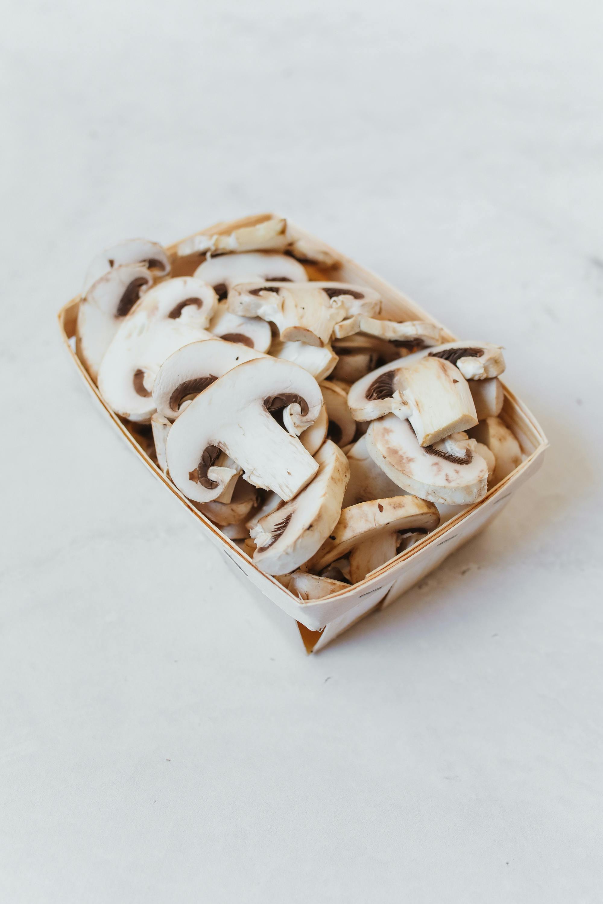 Fungi in Box · Free Stock Photo