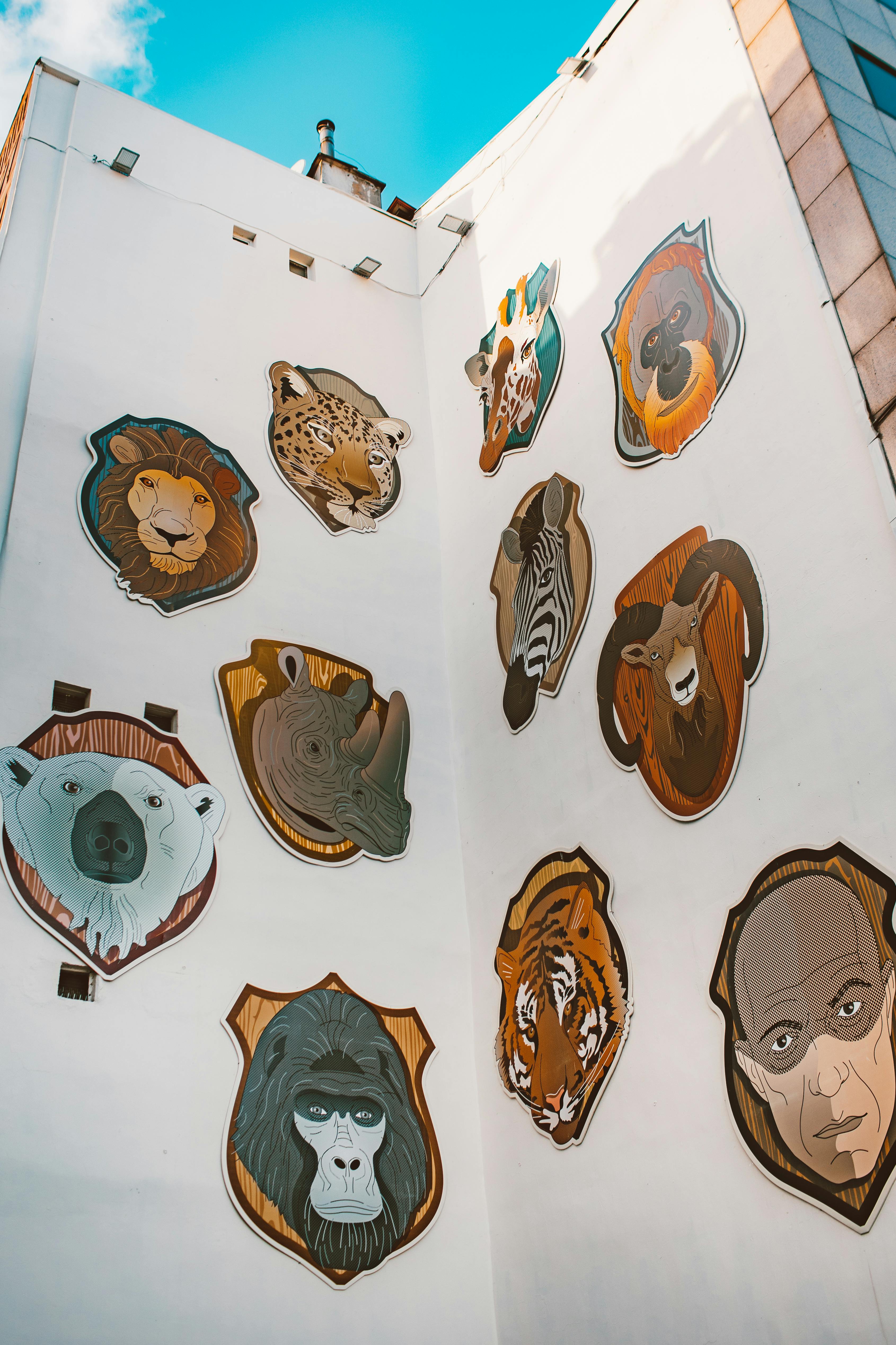 Low Resolution Pictures Photos, Download The BEST Free Low Resolution ...