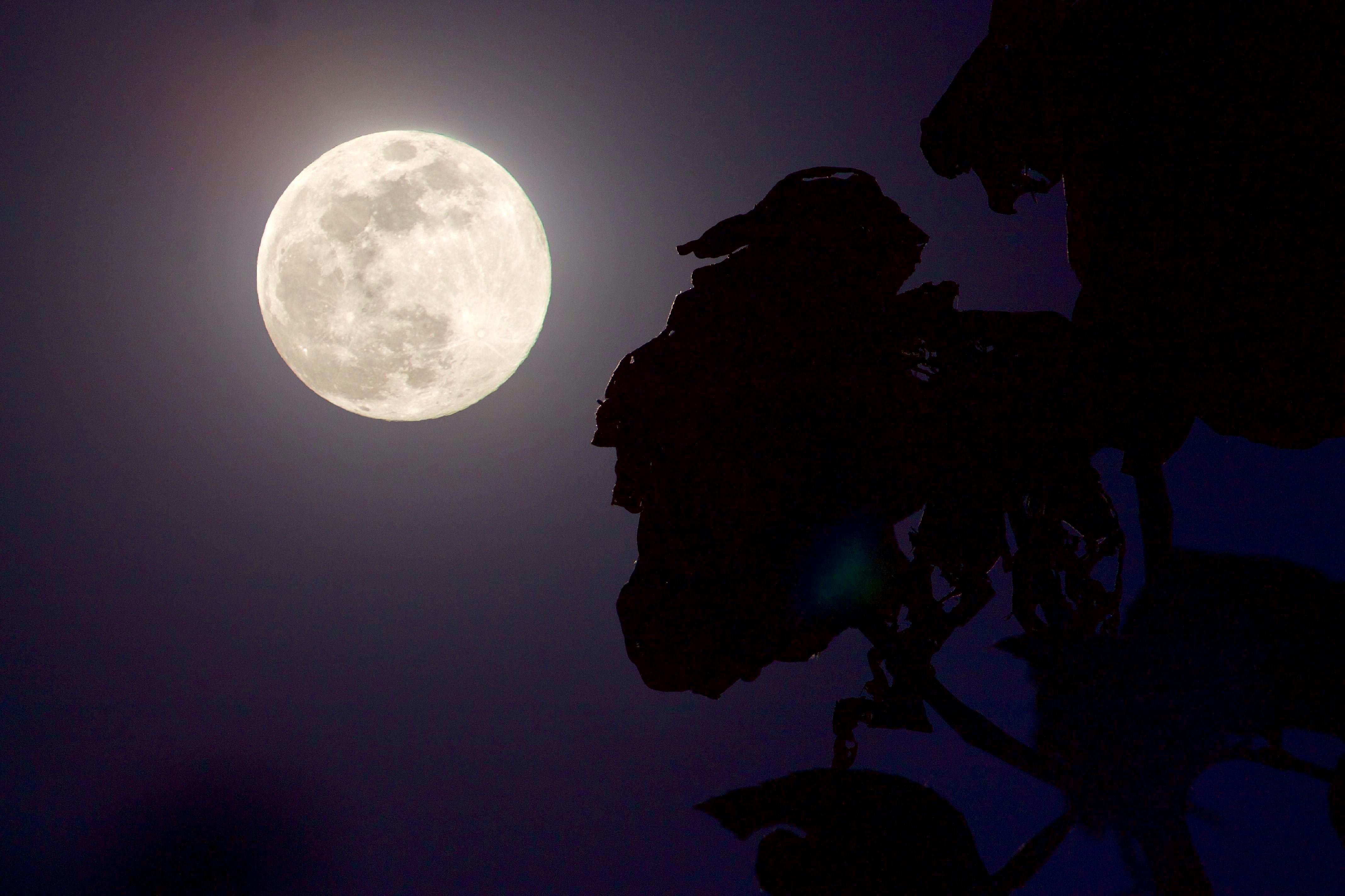 Gabriel Graves - Fotografía