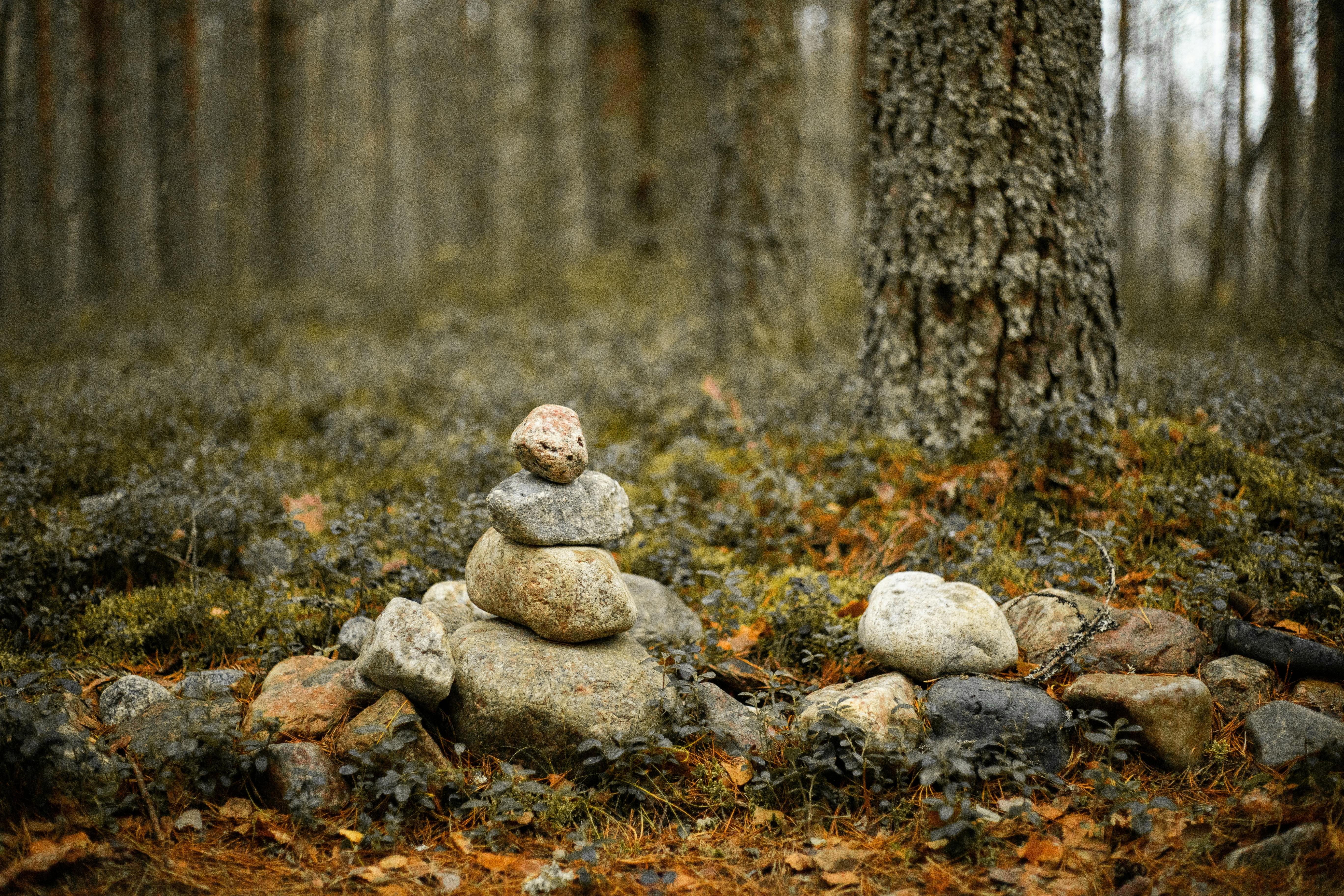 Close-up of a Pile of Stones in a Forest · Free Stock Photo