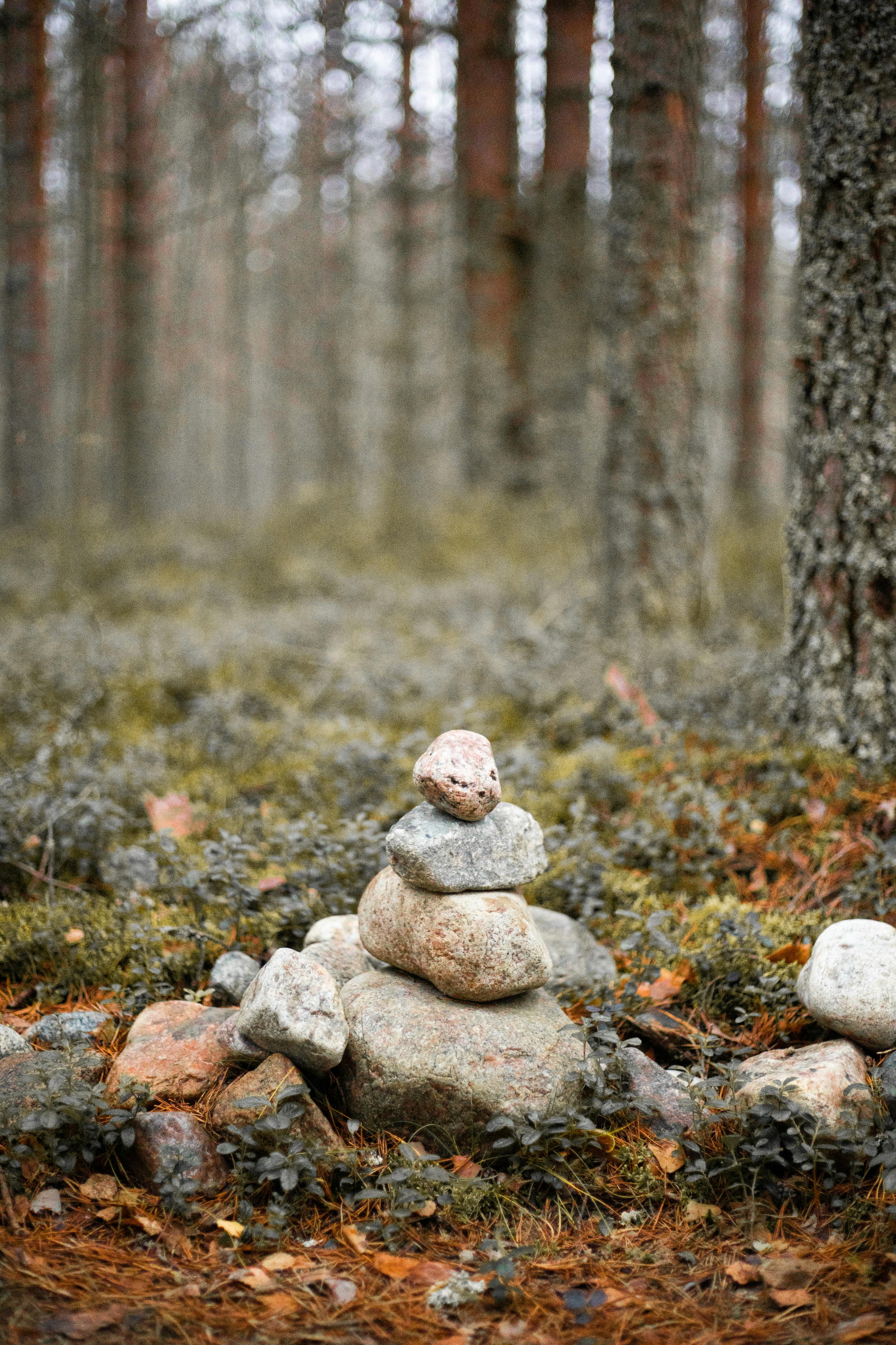 Stack of Stones in Forest · Free Stock Photo