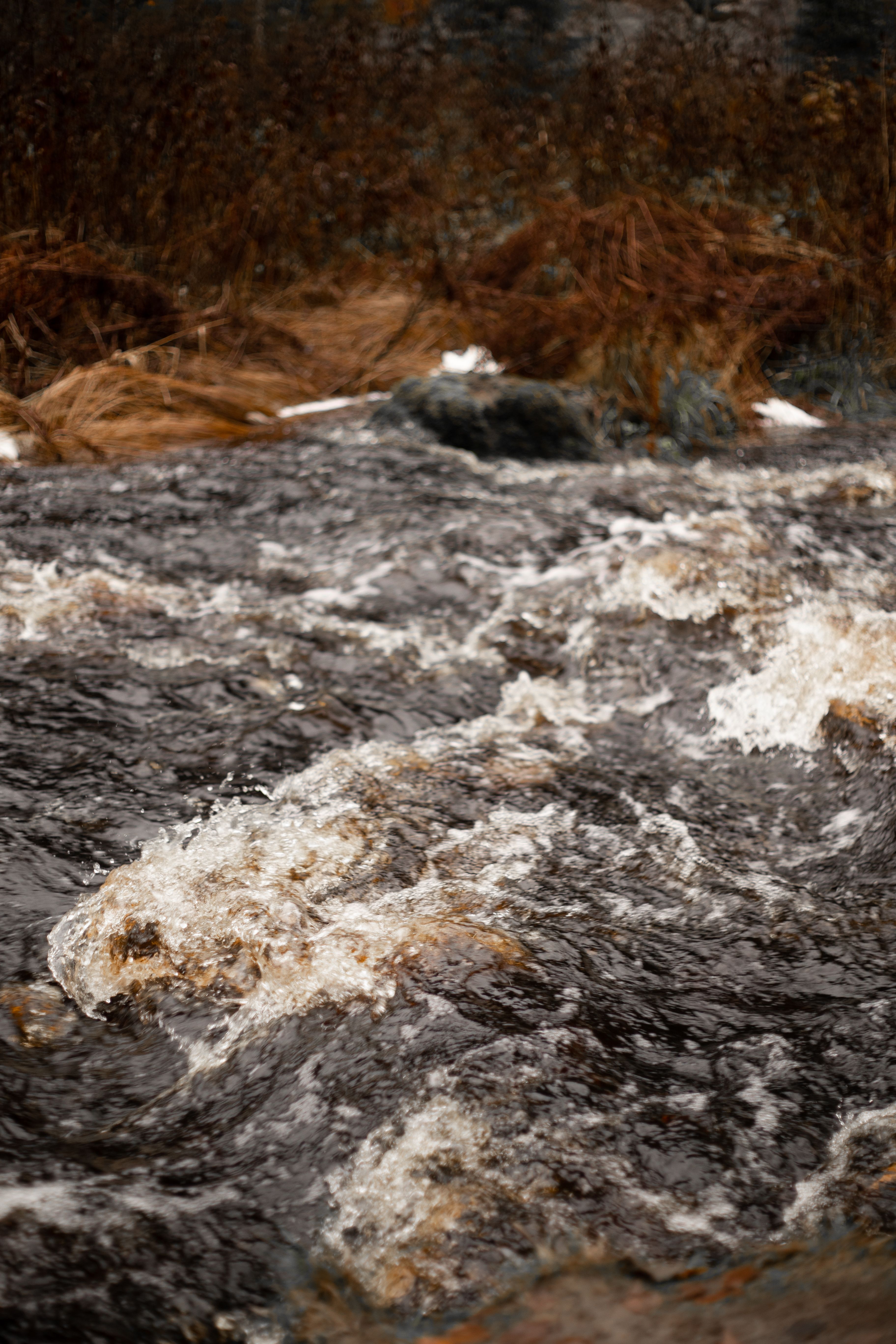 View of a River · Free Stock Photo