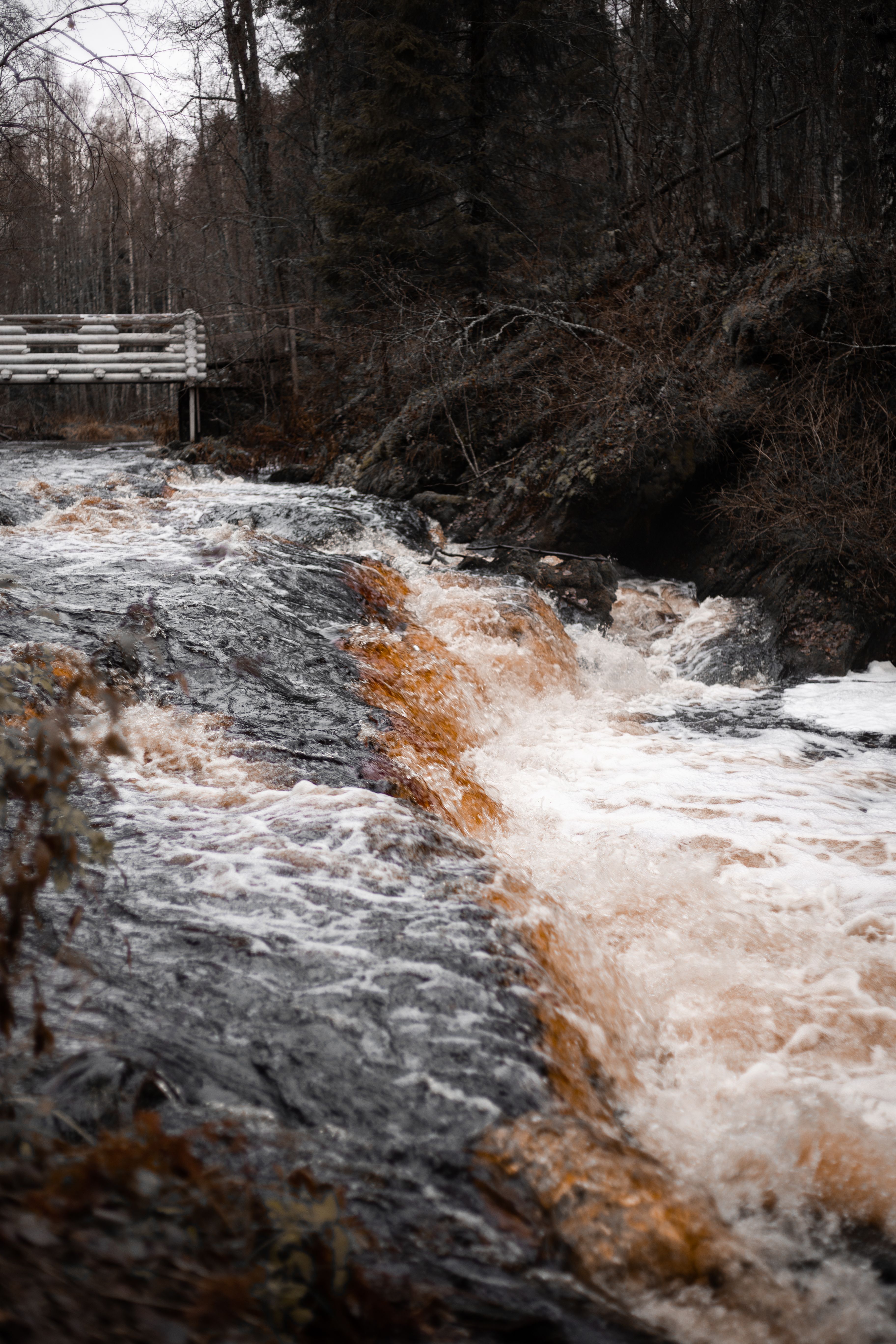 View of a River · Free Stock Photo