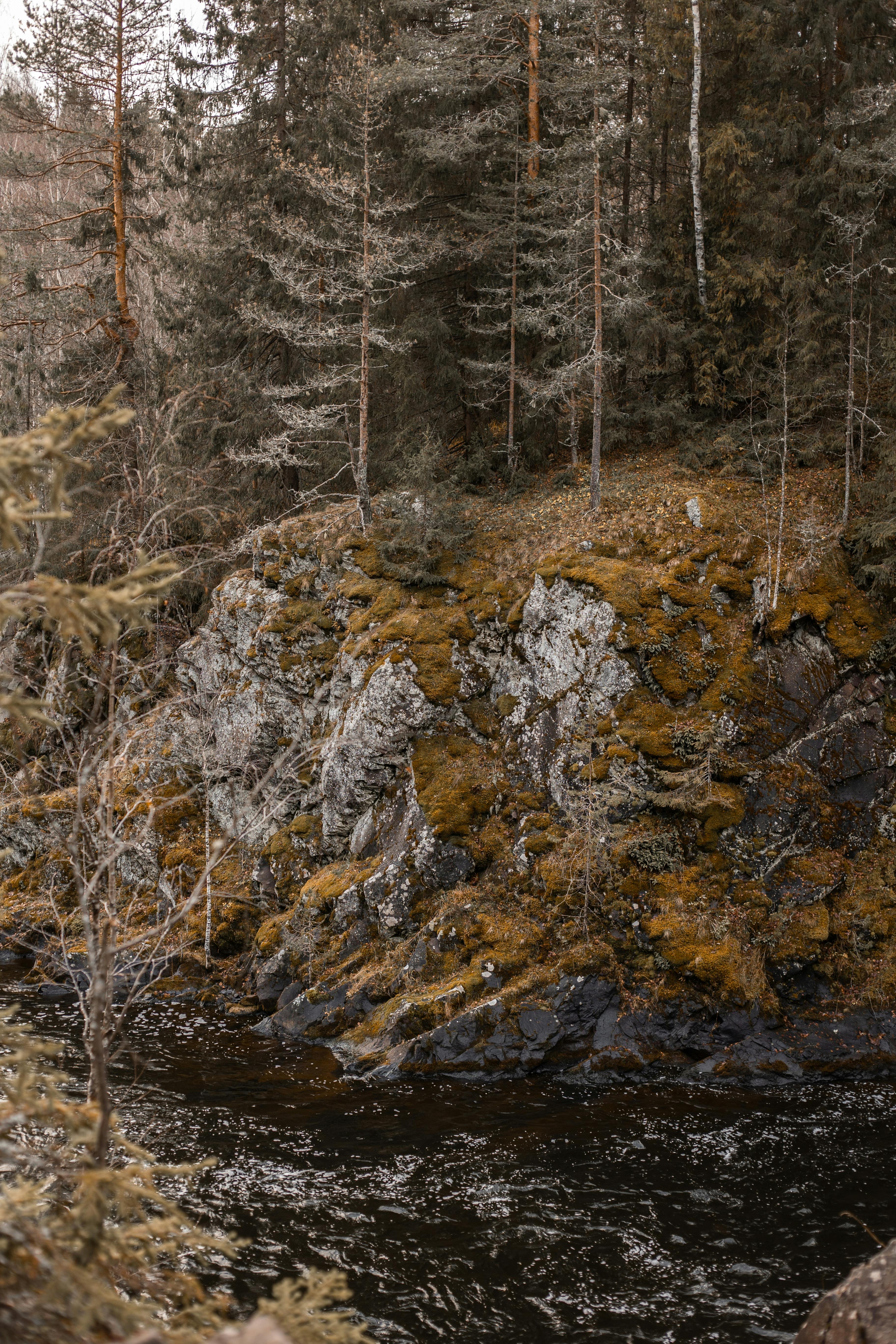 Rocky Cliff Photos, Download The BEST Free Rocky Cliff Stock Photos ...