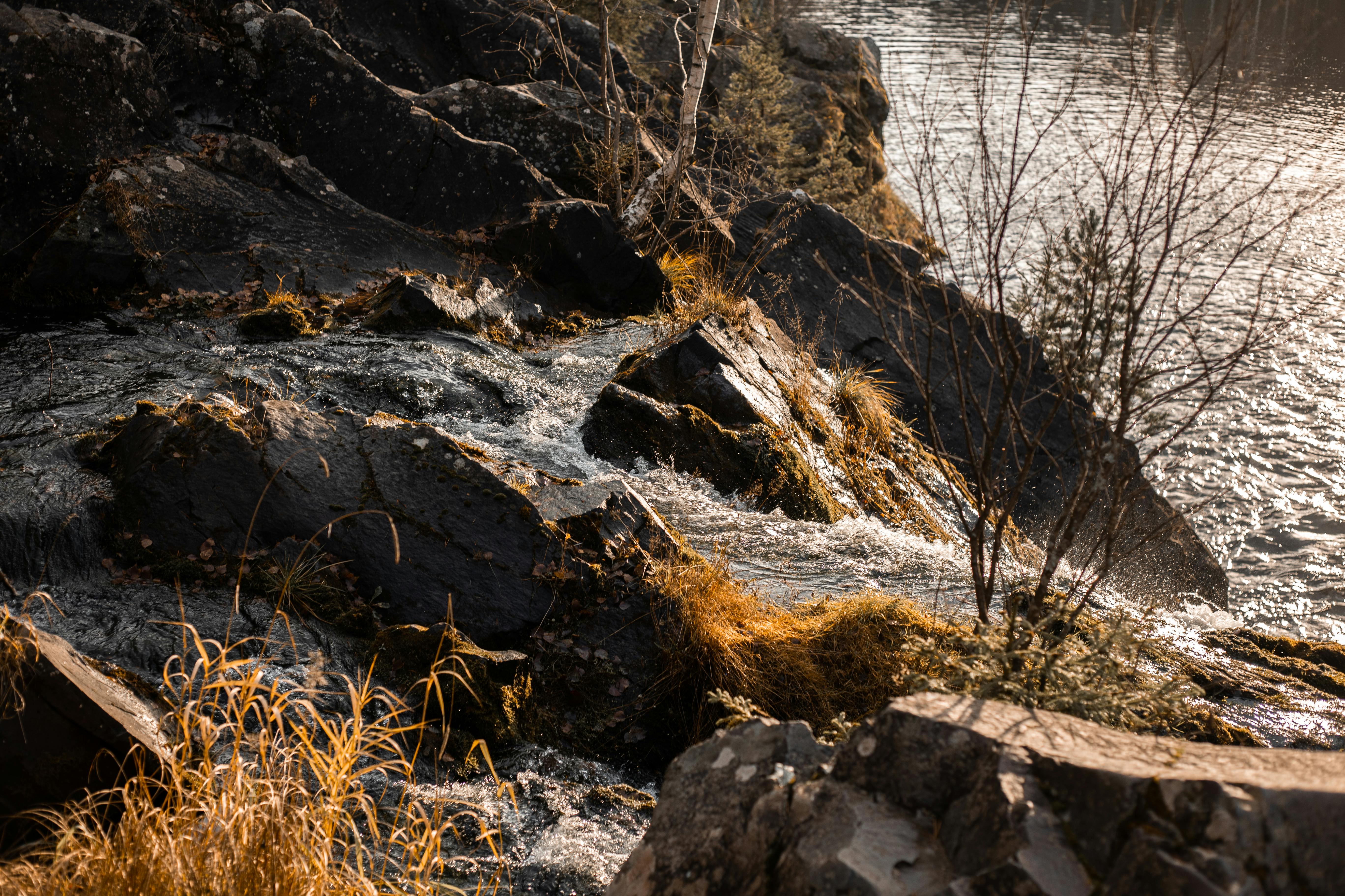 Rocky River Bank Hill · Free Stock Photo