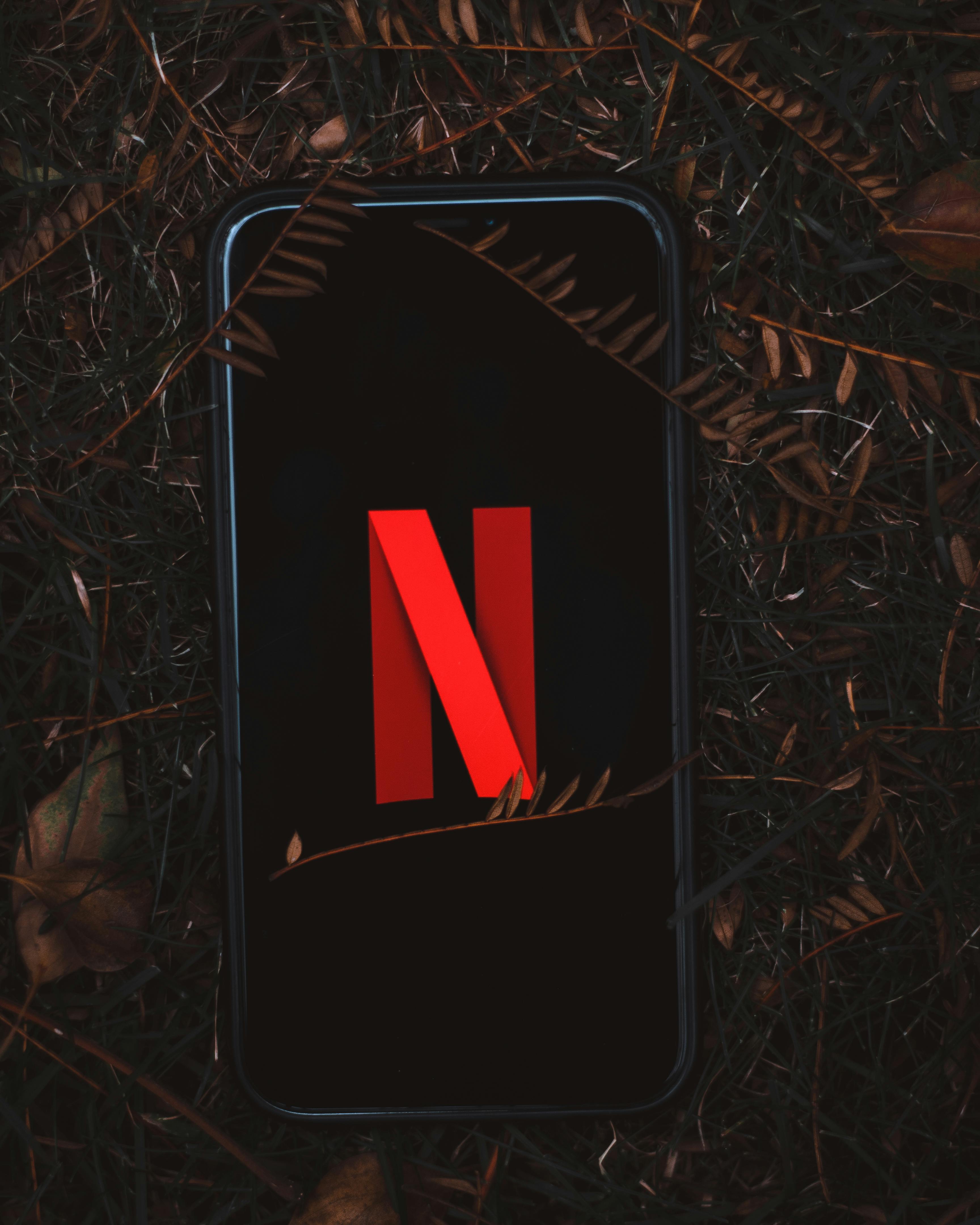 Netflix Logo Black