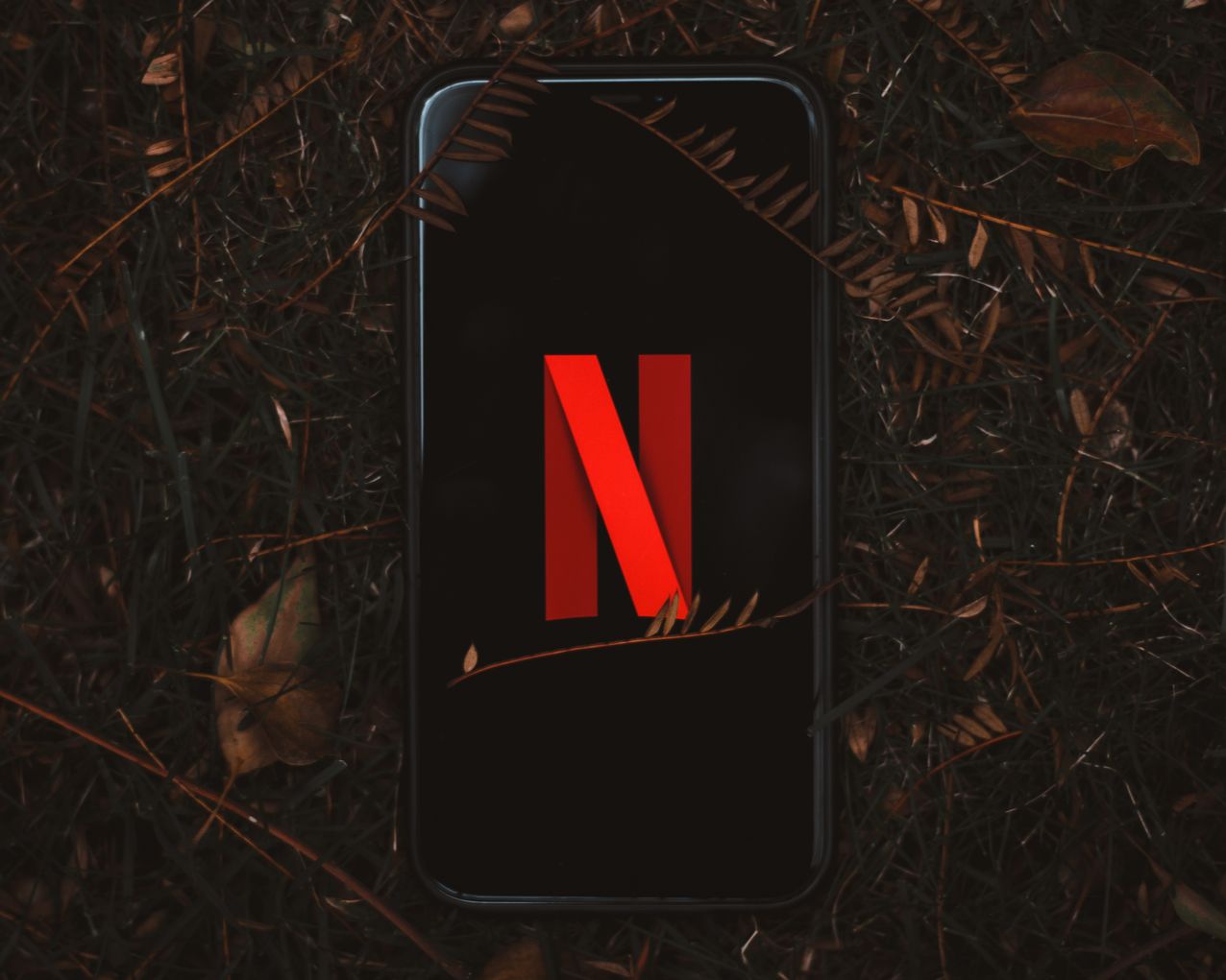 Payment for Netflix Account: Exploring Your Flexible Options