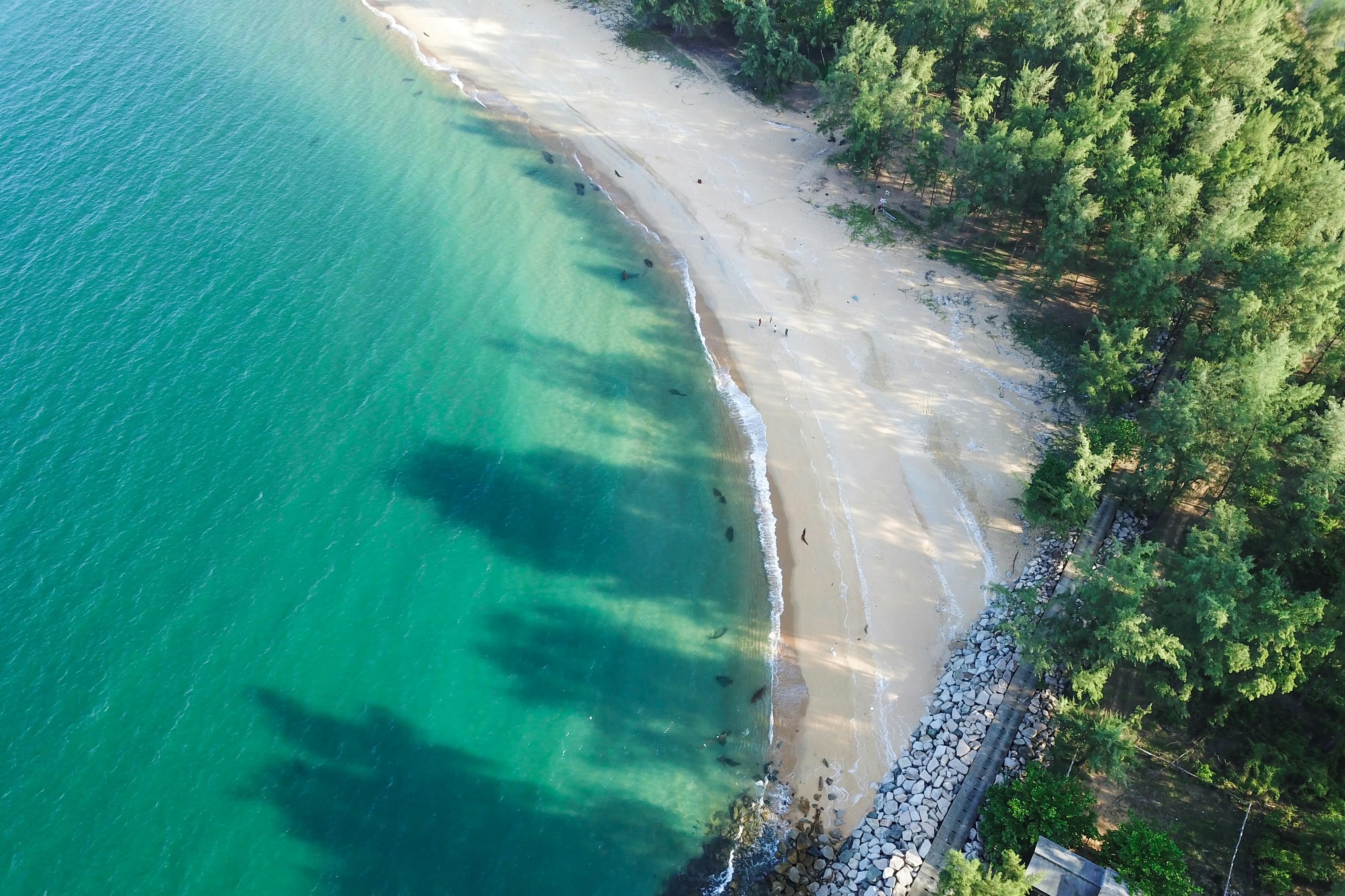 Tropical coastline with white sand near clean blue sea · Free Stock Photo