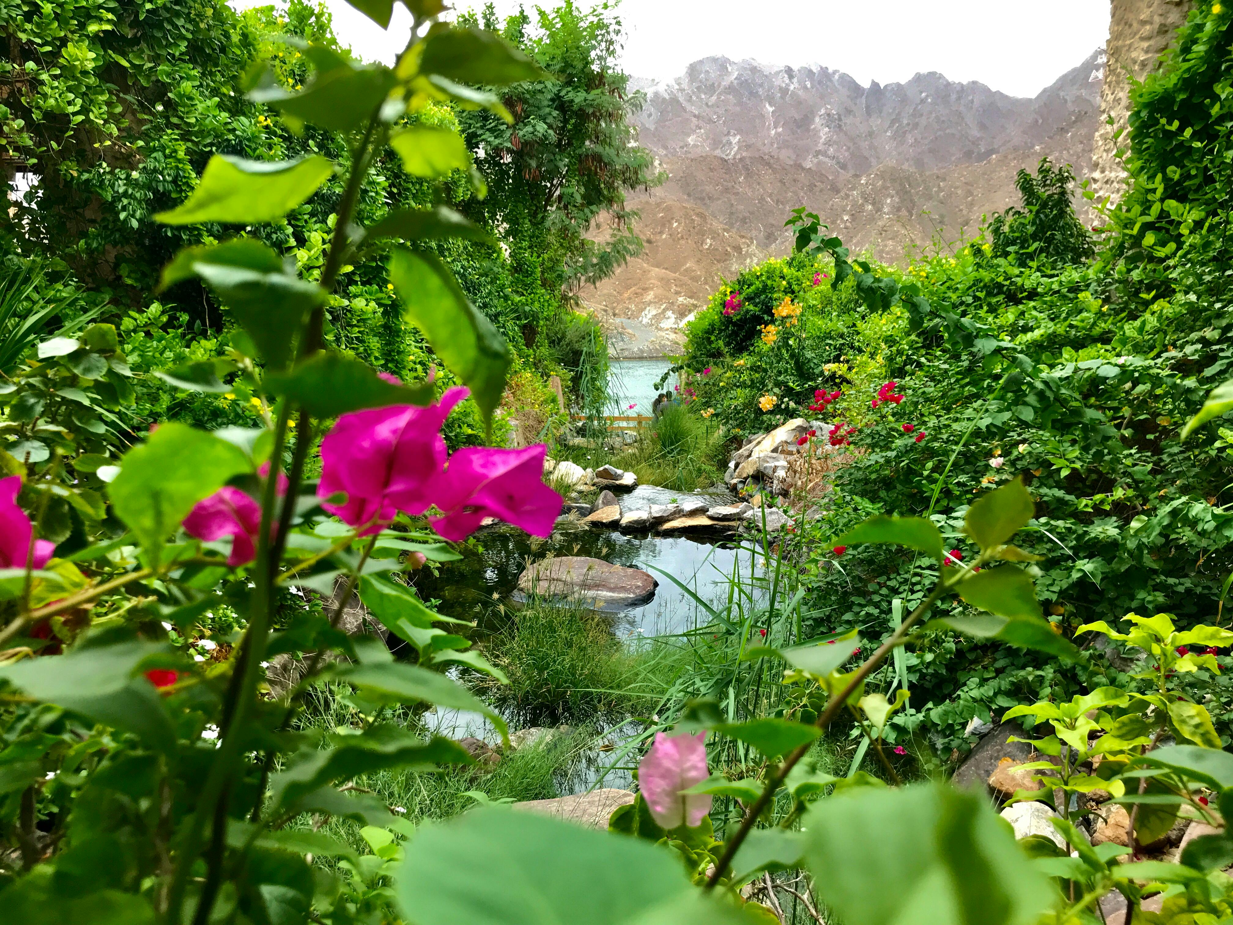 Ashal Abbas - Photography