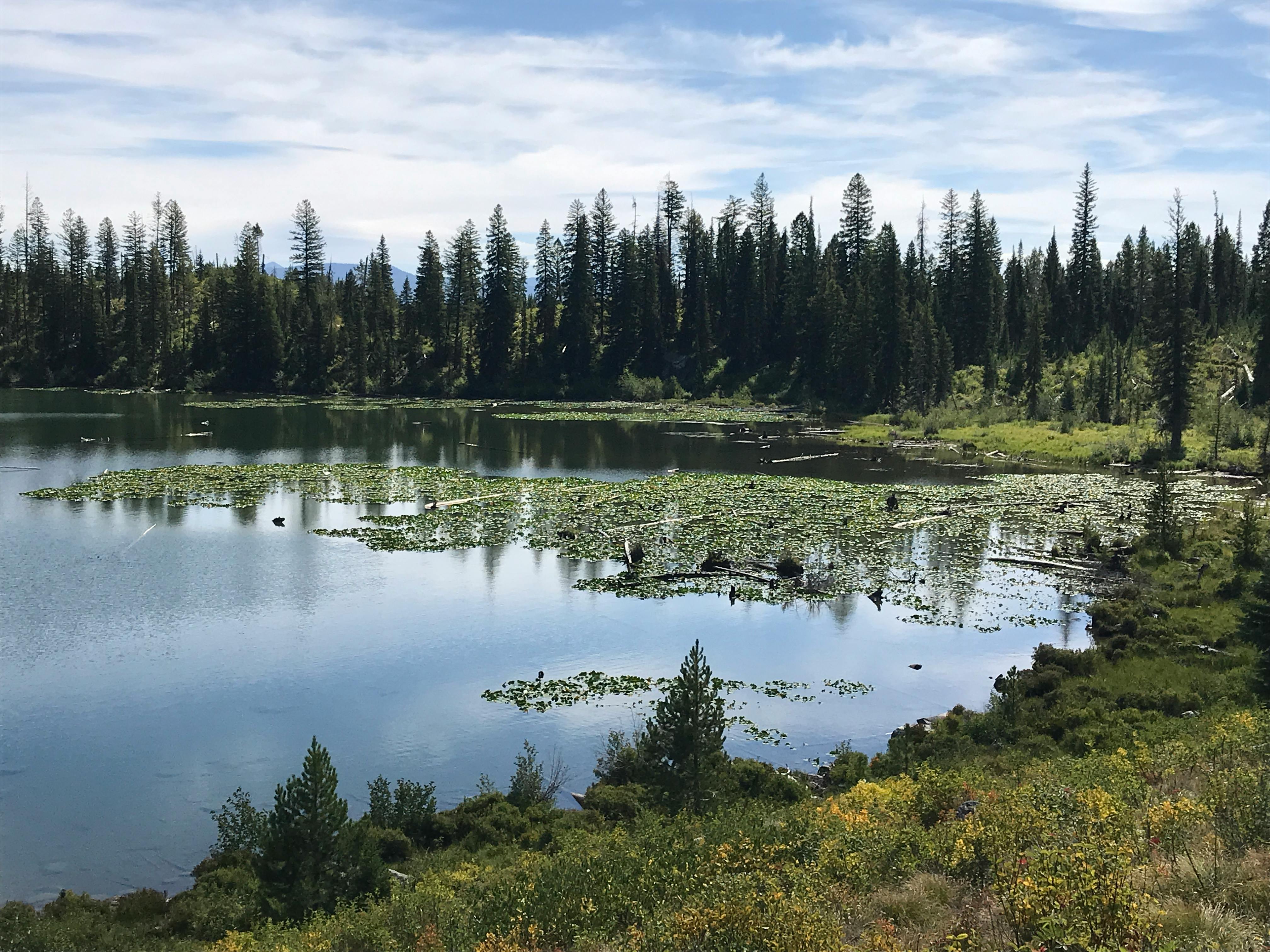 Carol McCormick - Photographie