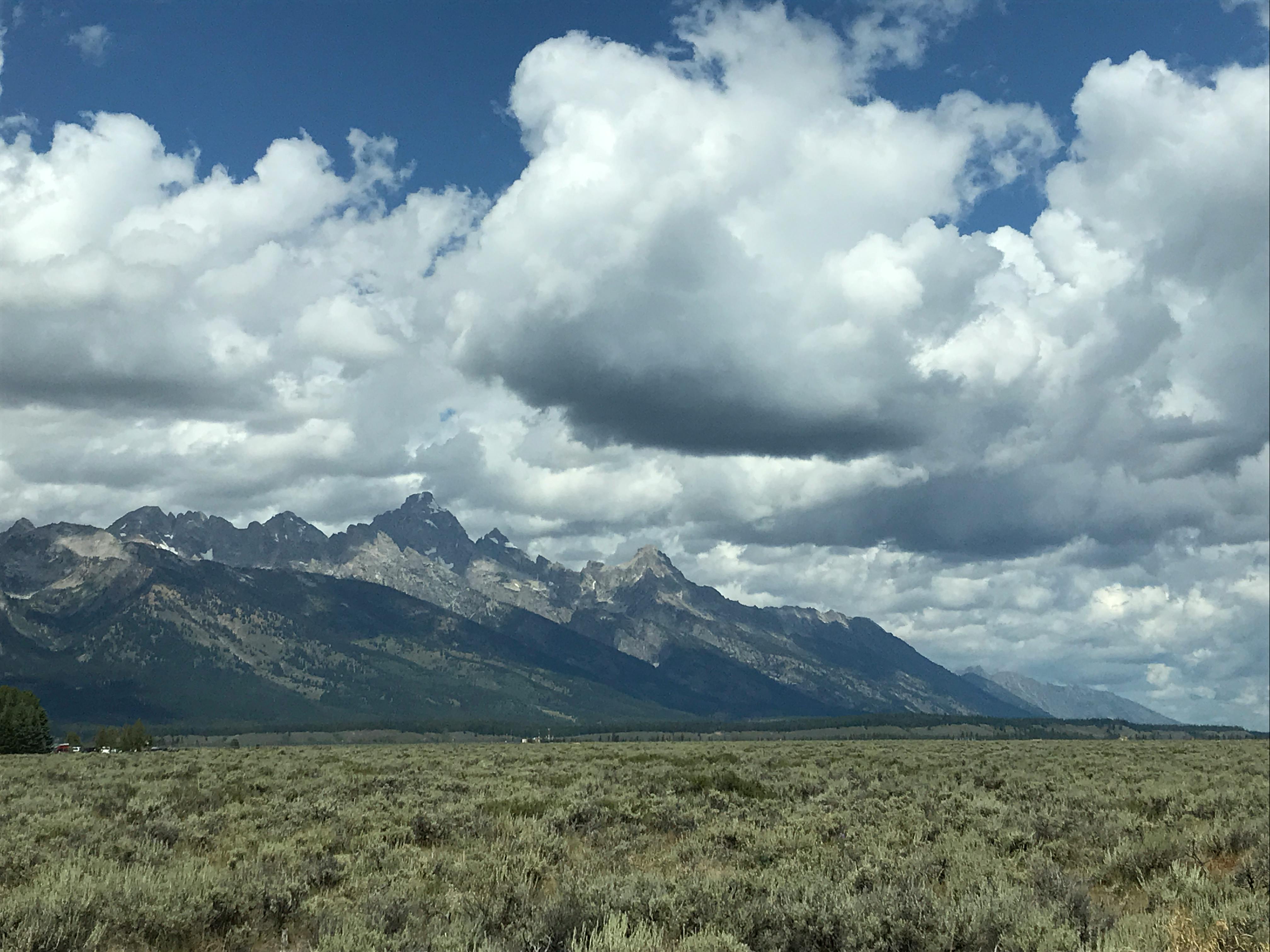 Carol McCormick - 사진