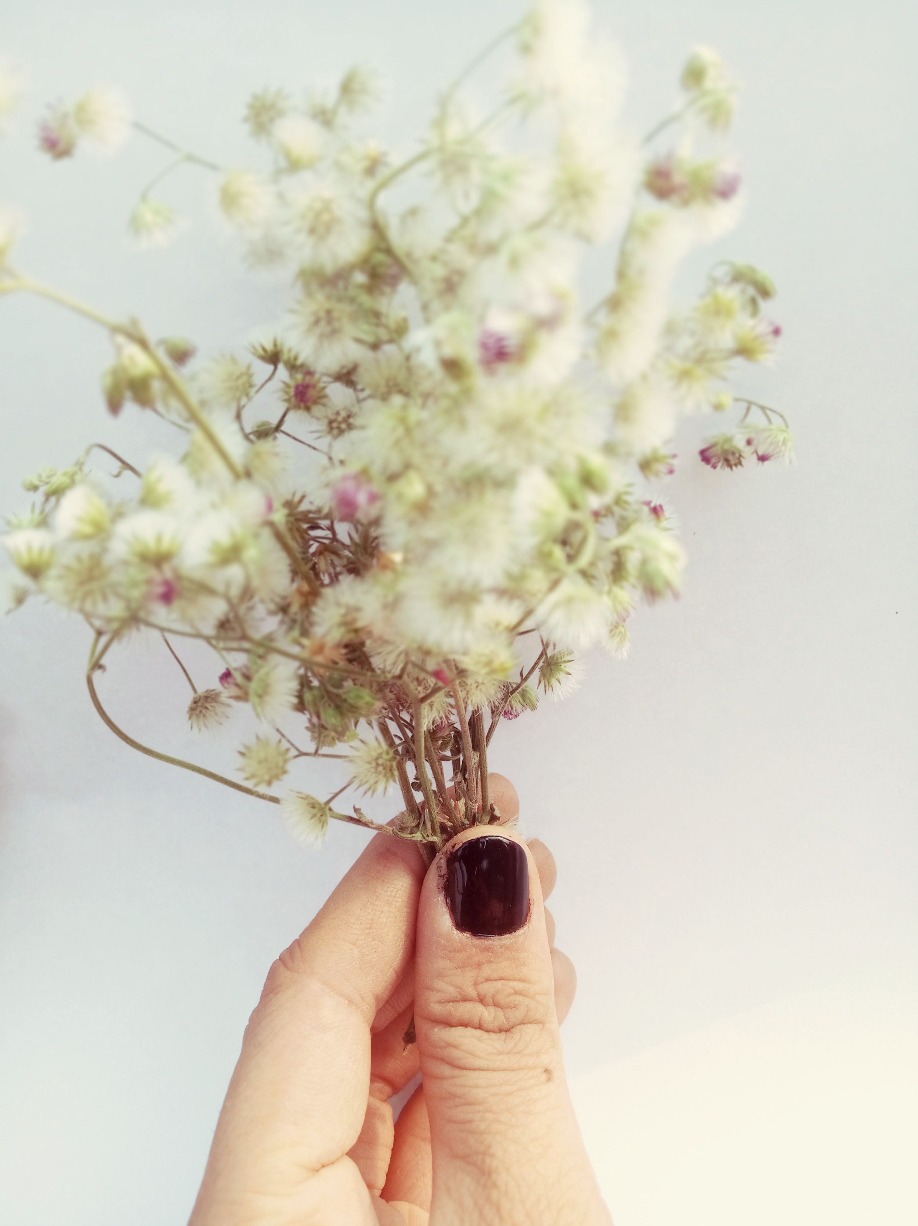 Green twig placed in glass bottle in room · Free Stock Photo