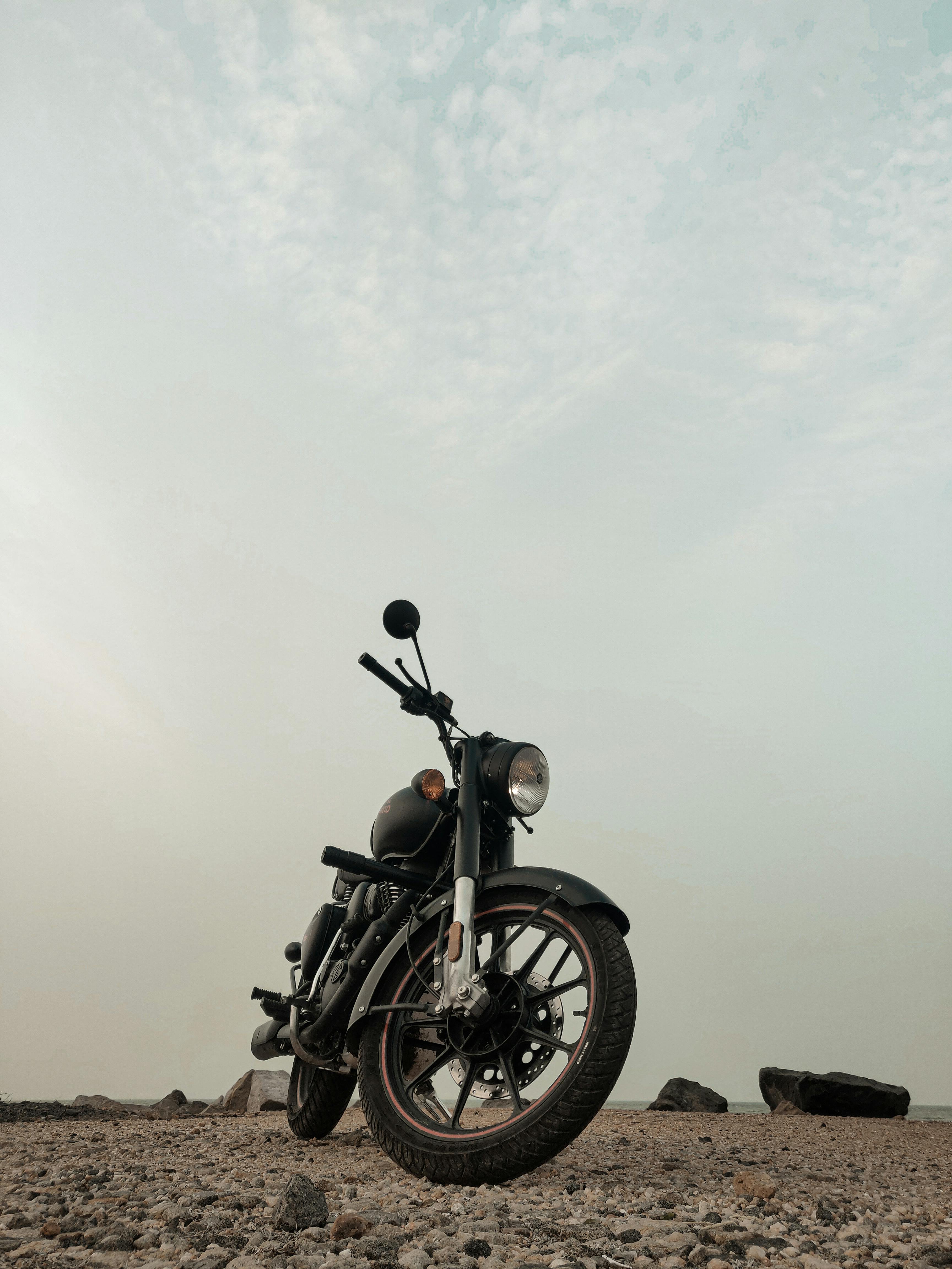 Alan Fernando - 写真