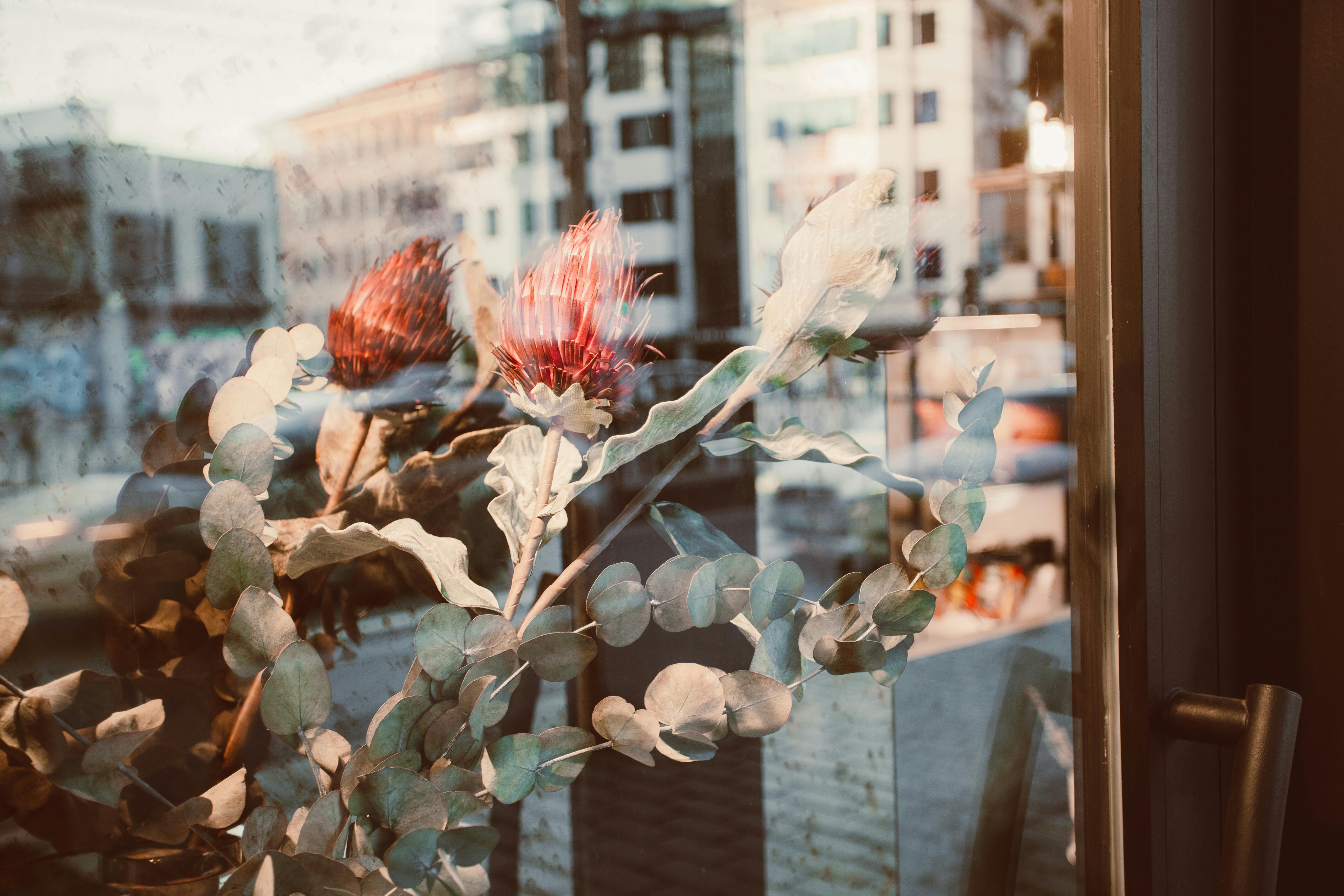 Florist Building Photos, Download The BEST Free Florist Building Stock ...