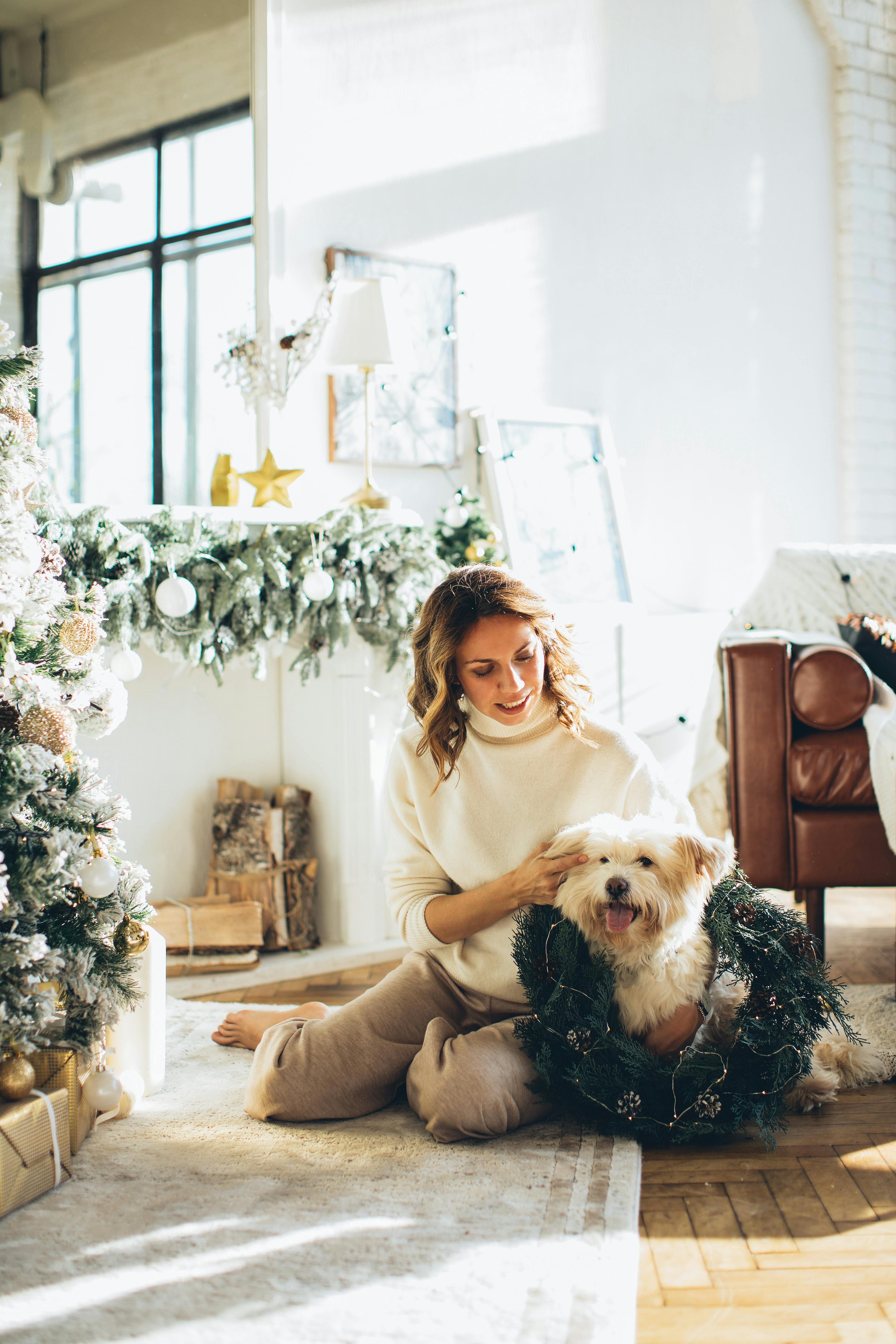 Bezplatná fotka z fotobanky na tému byť spolu, človek, darčeky, doma ...