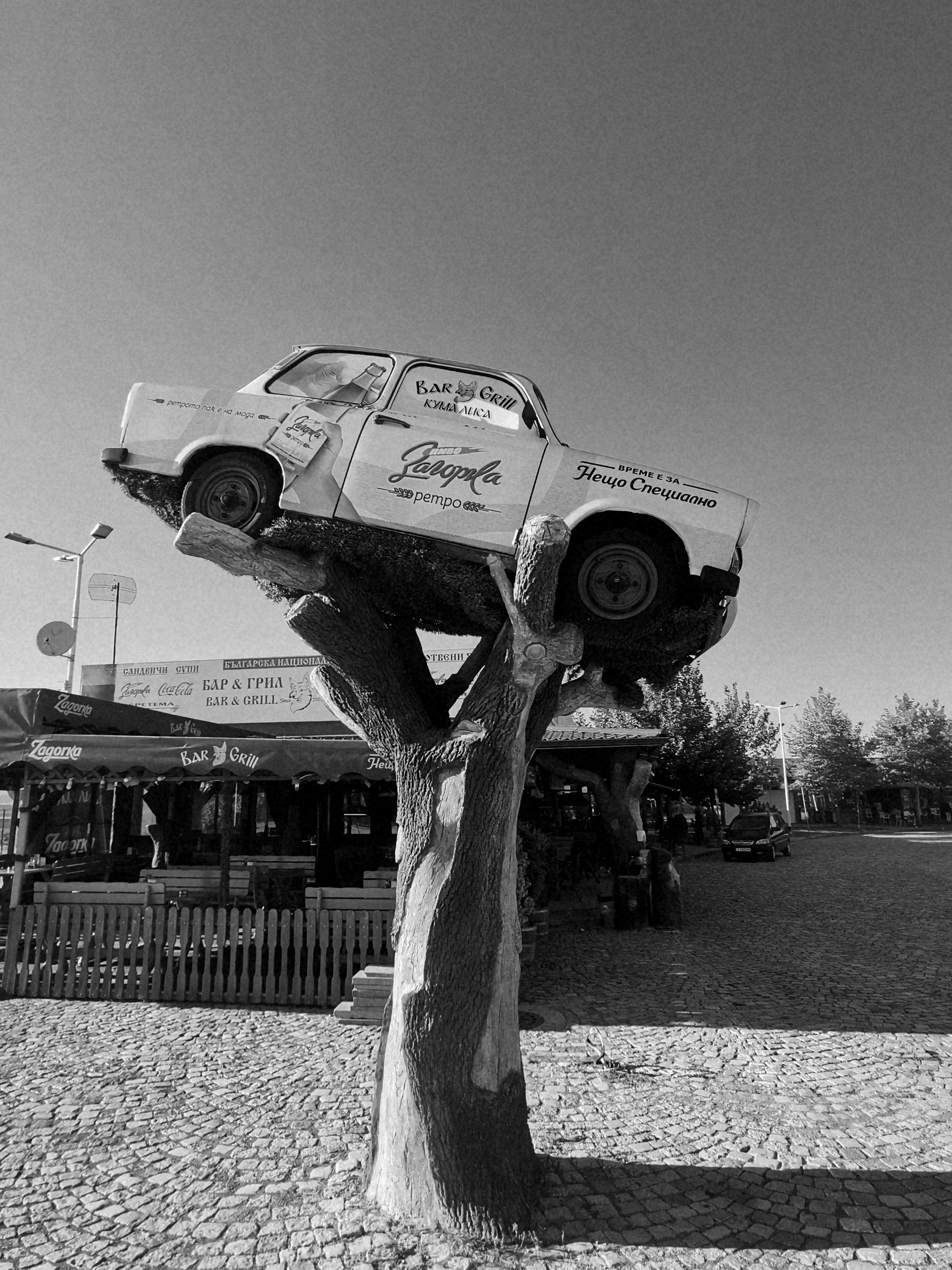 Grayscale Photo of Vintage Car Above a Tree Trunk · Free Stock Photo
