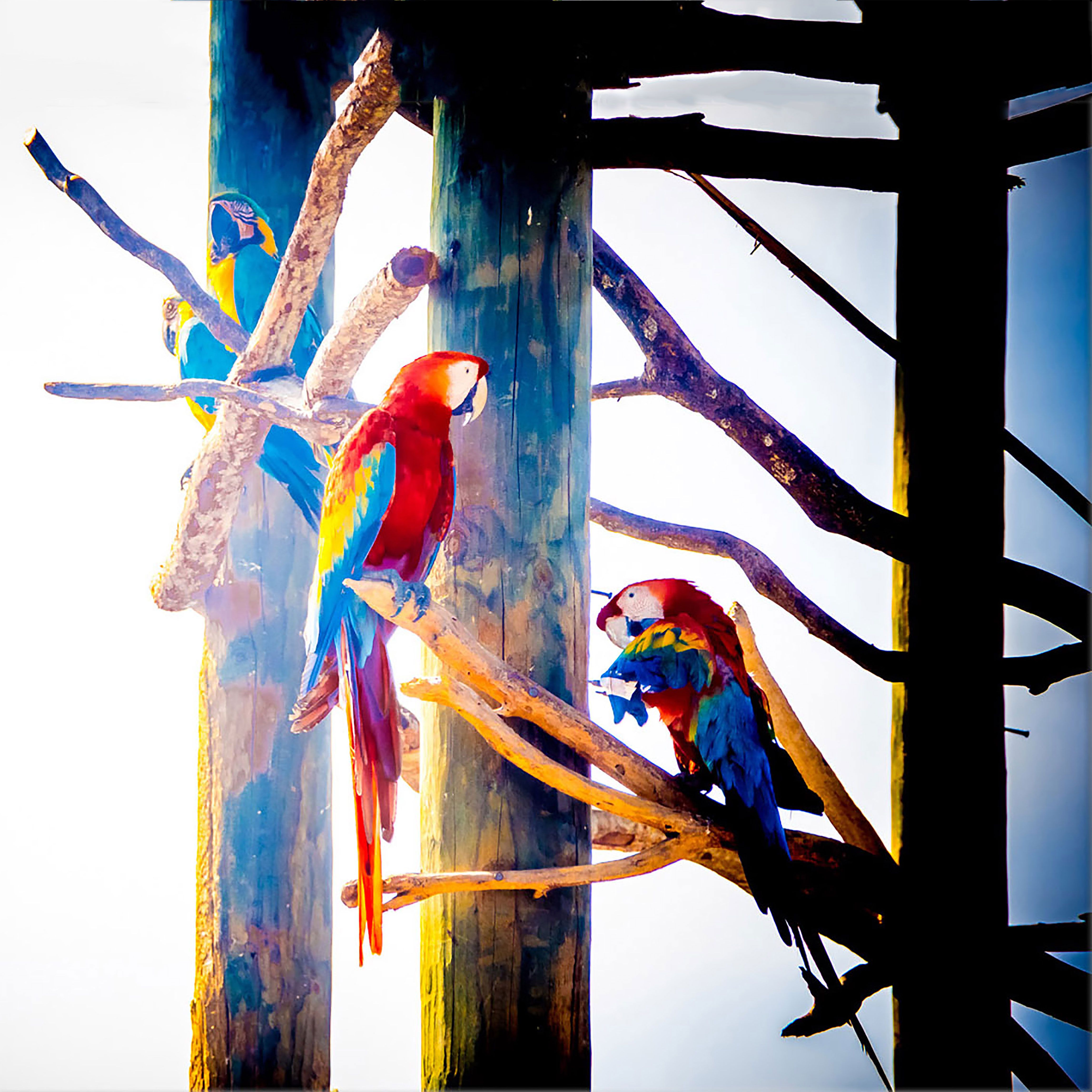 Hector Avila - Photography