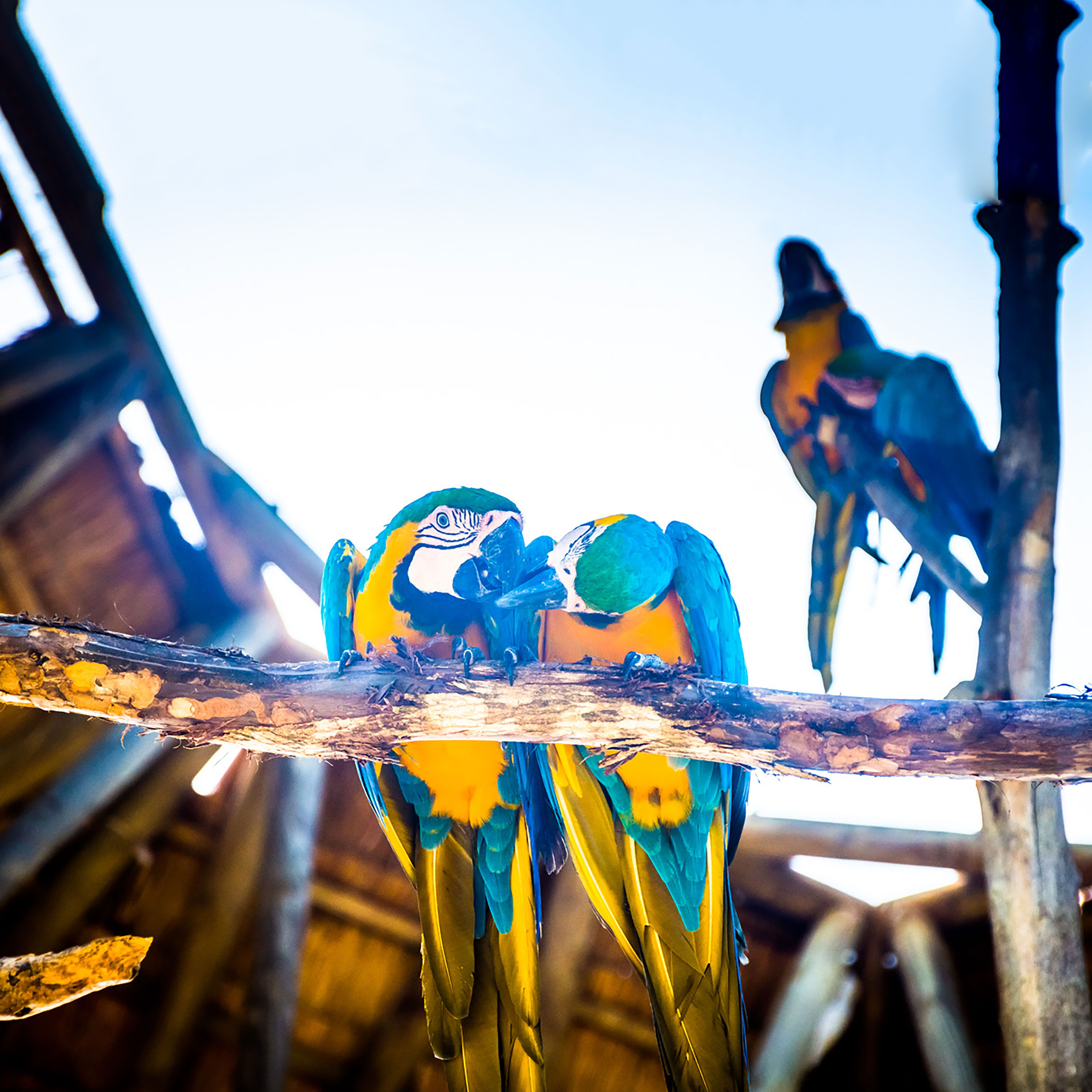 Hector Avila - Photography