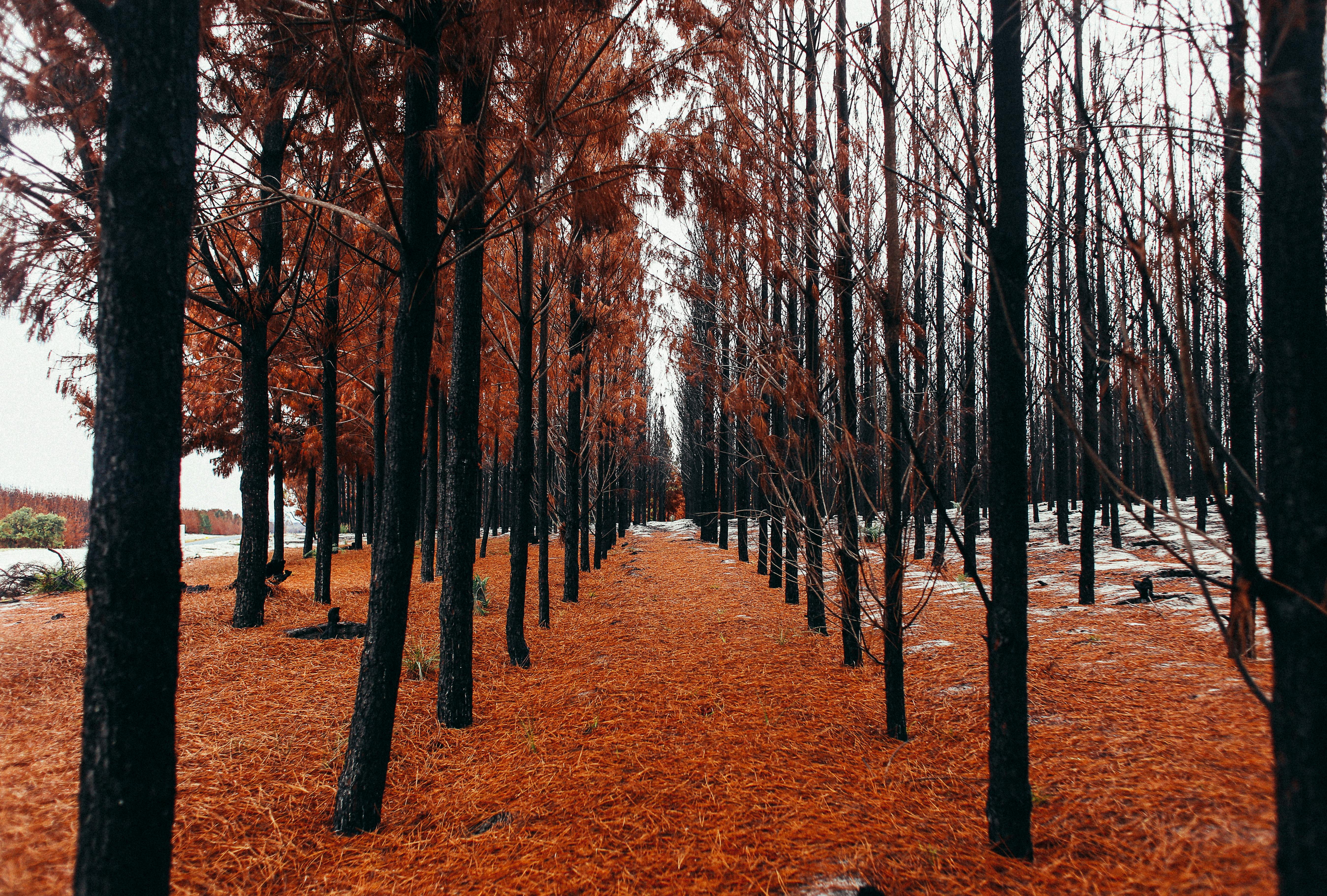 60,000+ Best Sun Basking Photos · 100% Free Download · Pexels Stock Photos