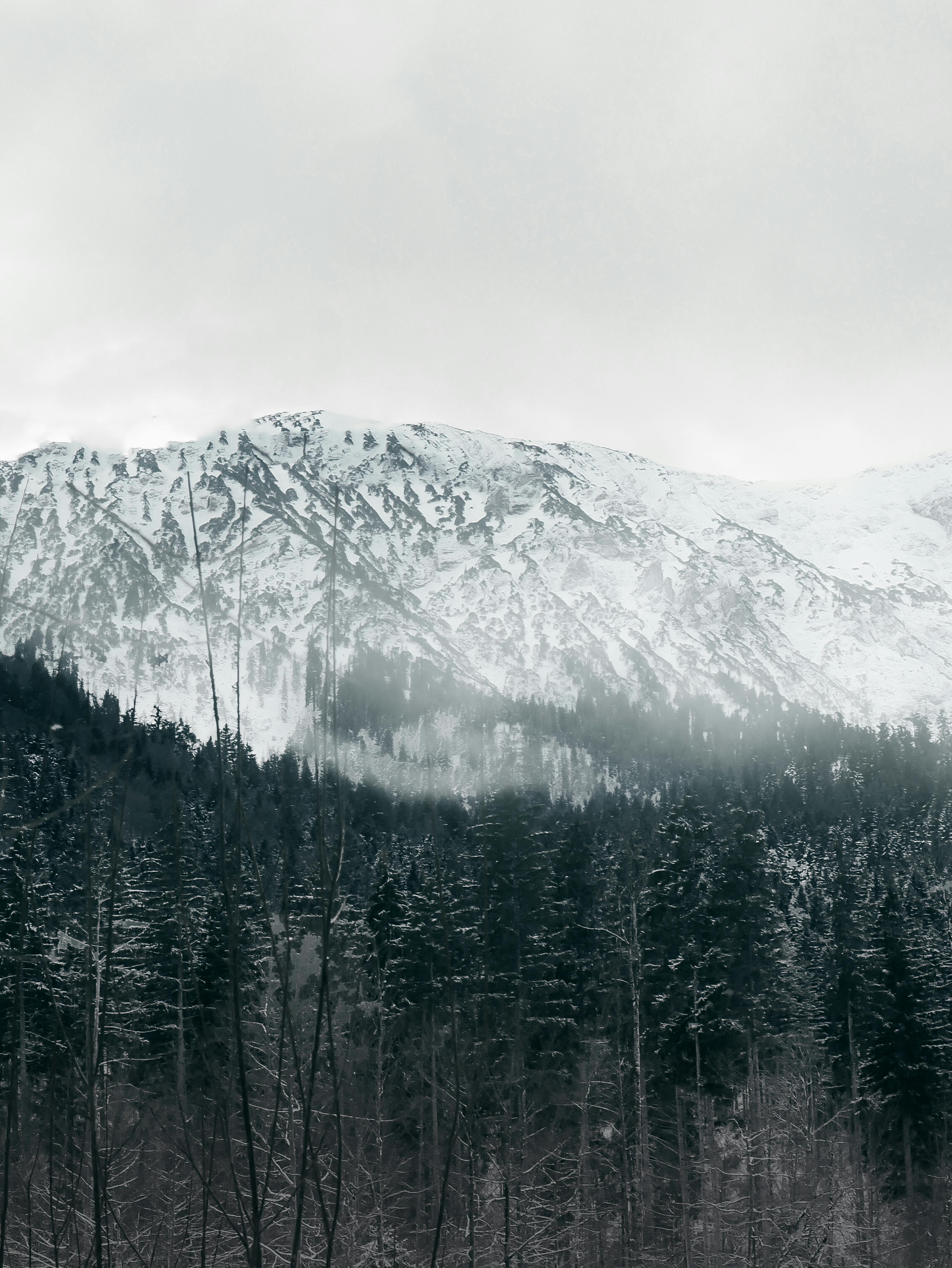 High Rise Mountain during Deay Time · Free Stock Photo