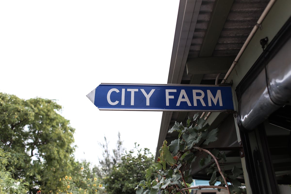 Understanding the Meaning of Street Address: A Guide