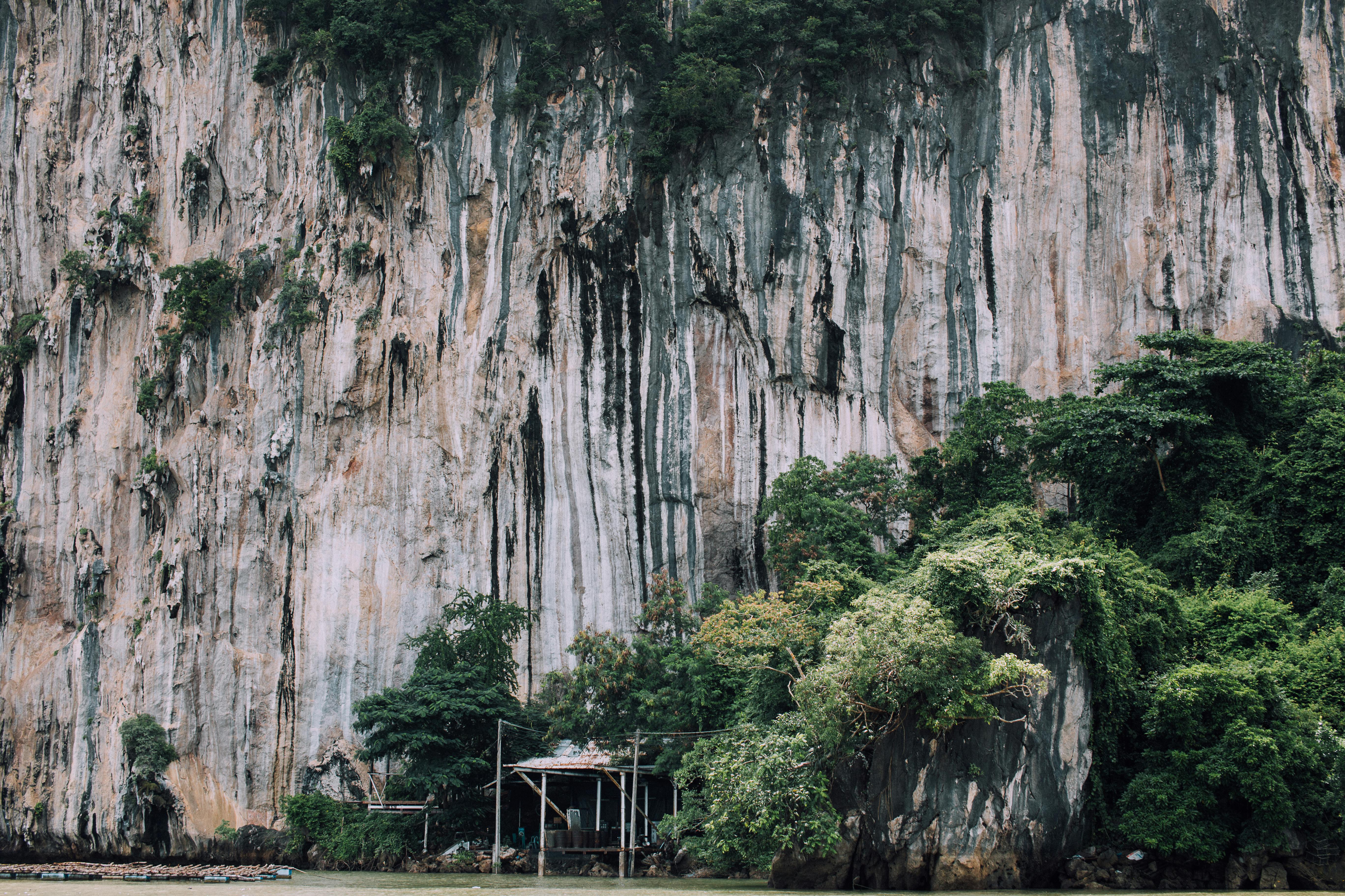 Trees beside Rock Formation · Free Stock Photo