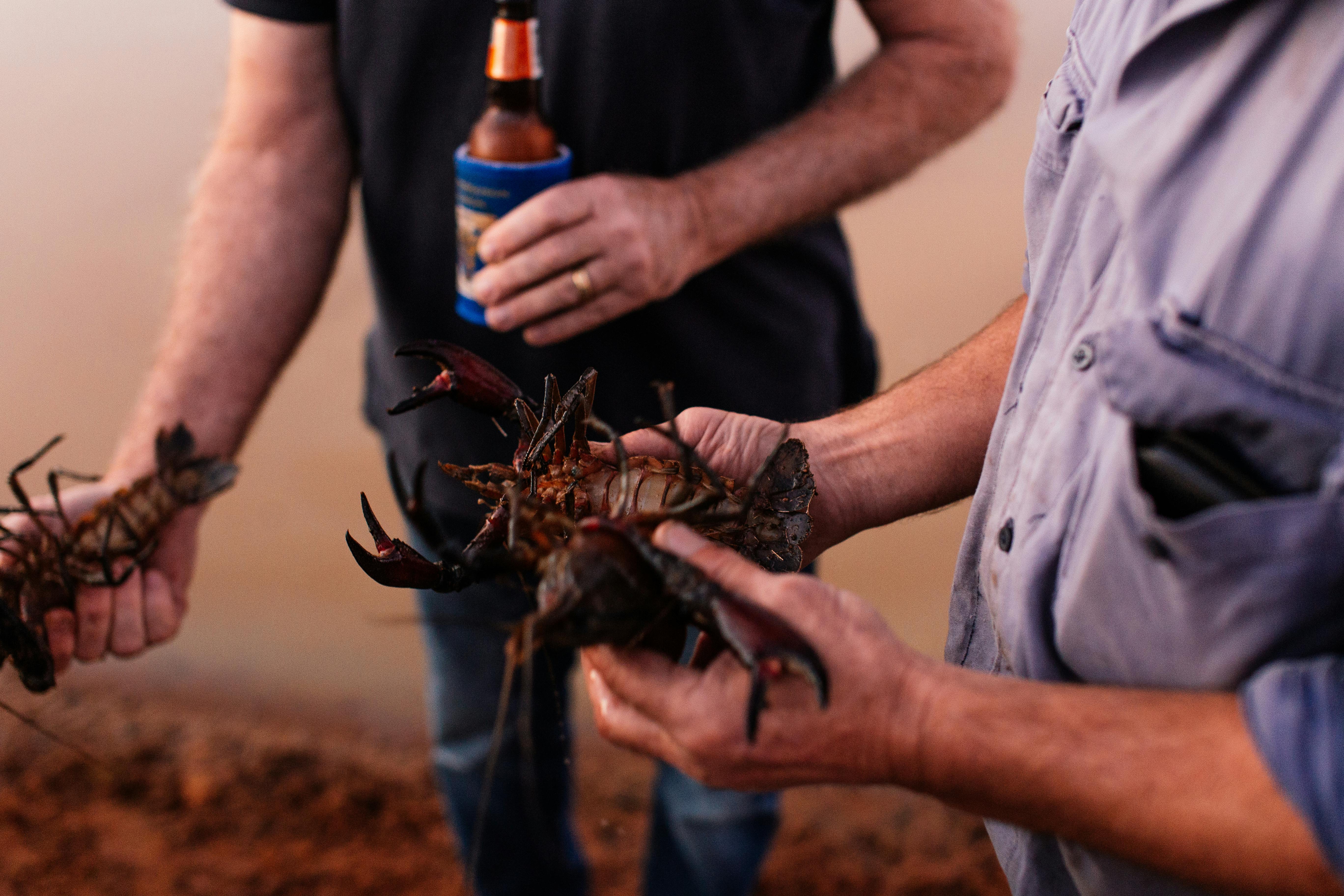 Men Holding Crayfish · Free Stock Photo