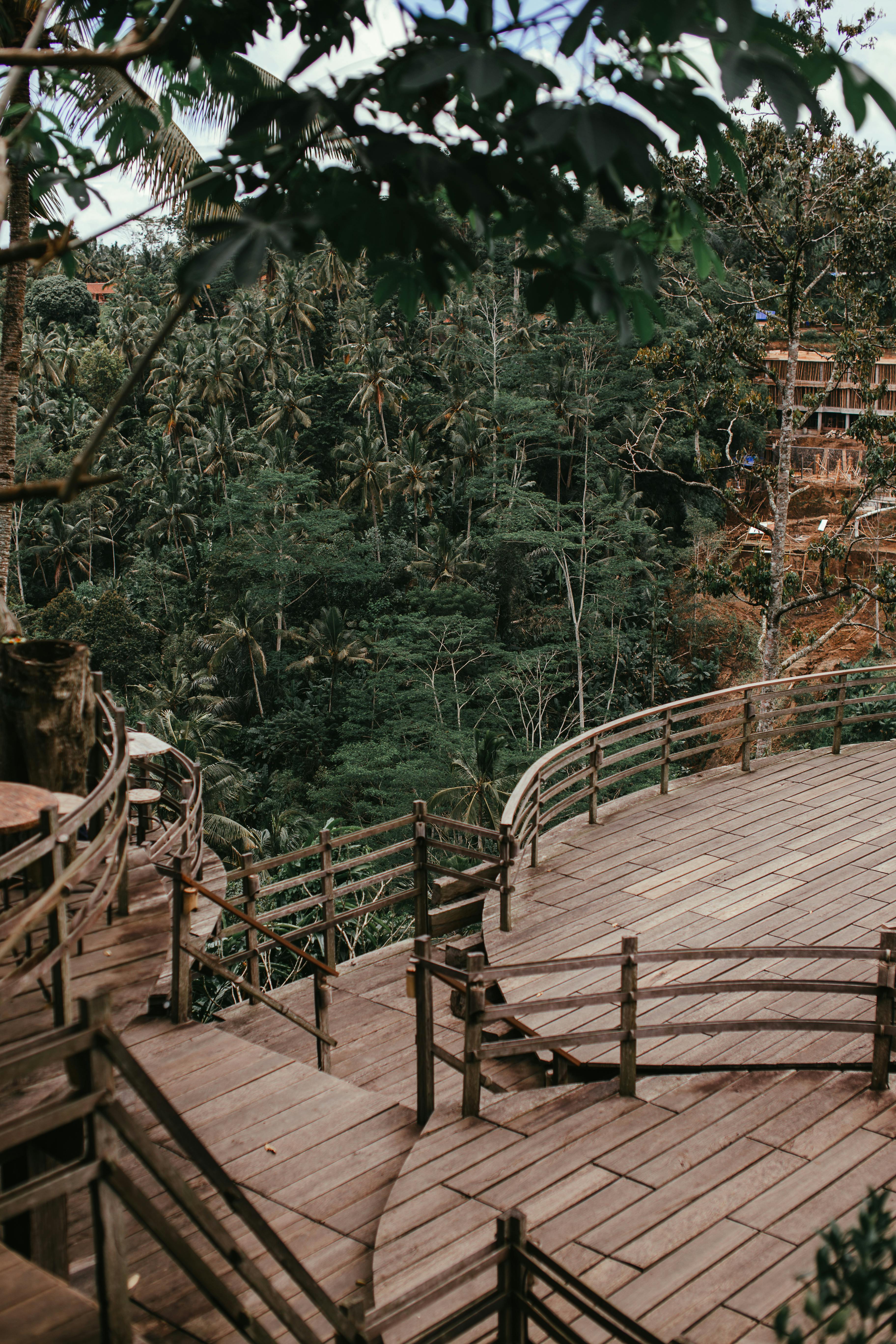Brown Wooden Viewing Deck · Free Stock Photo