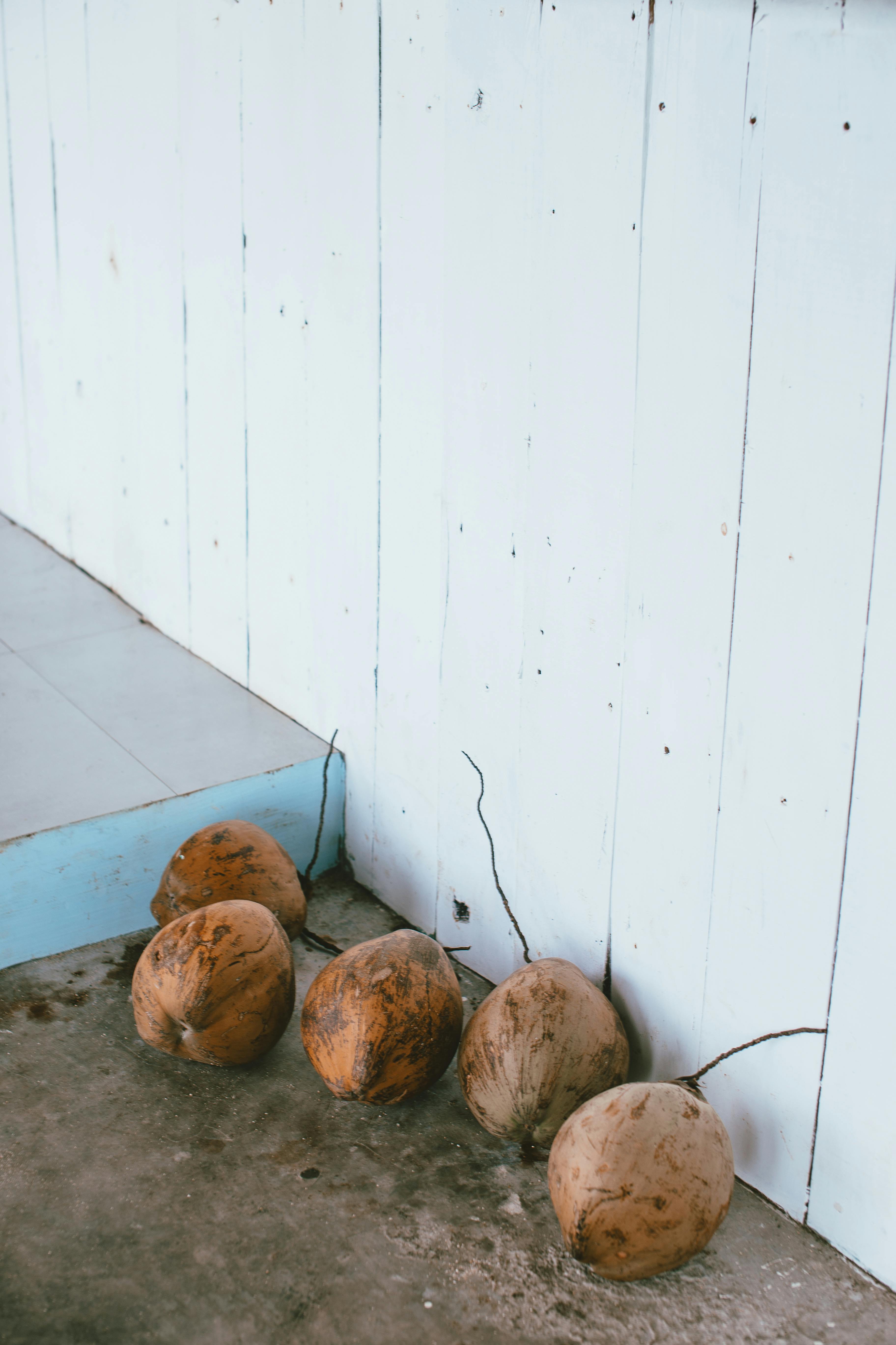 Beach Corner Photos, Download The BEST Free Beach Corner Stock Photos ...